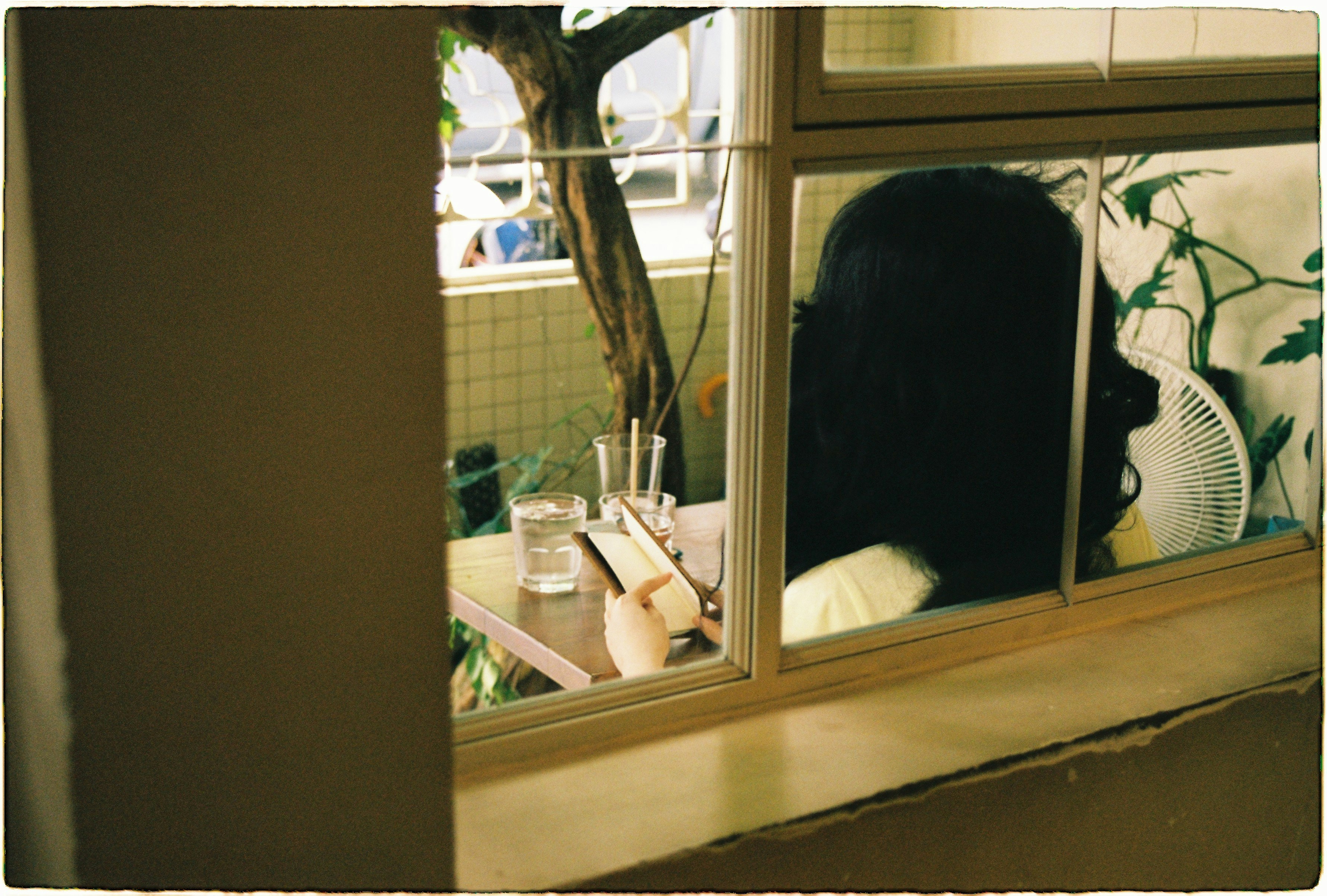 Photo by Le Tran Hoang Oanh with Fujifilm SP-3000