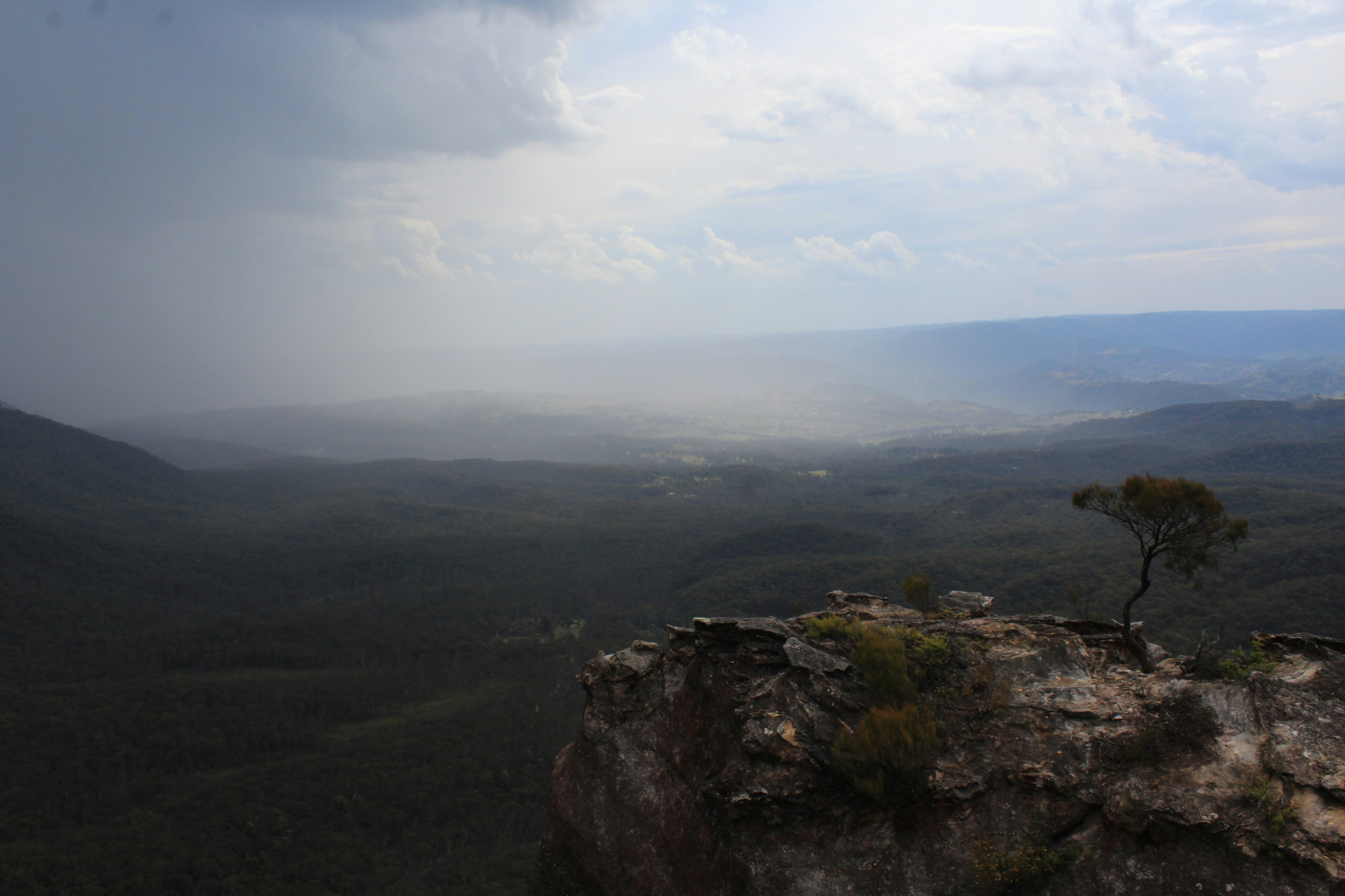 Cliffside Sentinel: a lone tree gazes over a misty valley