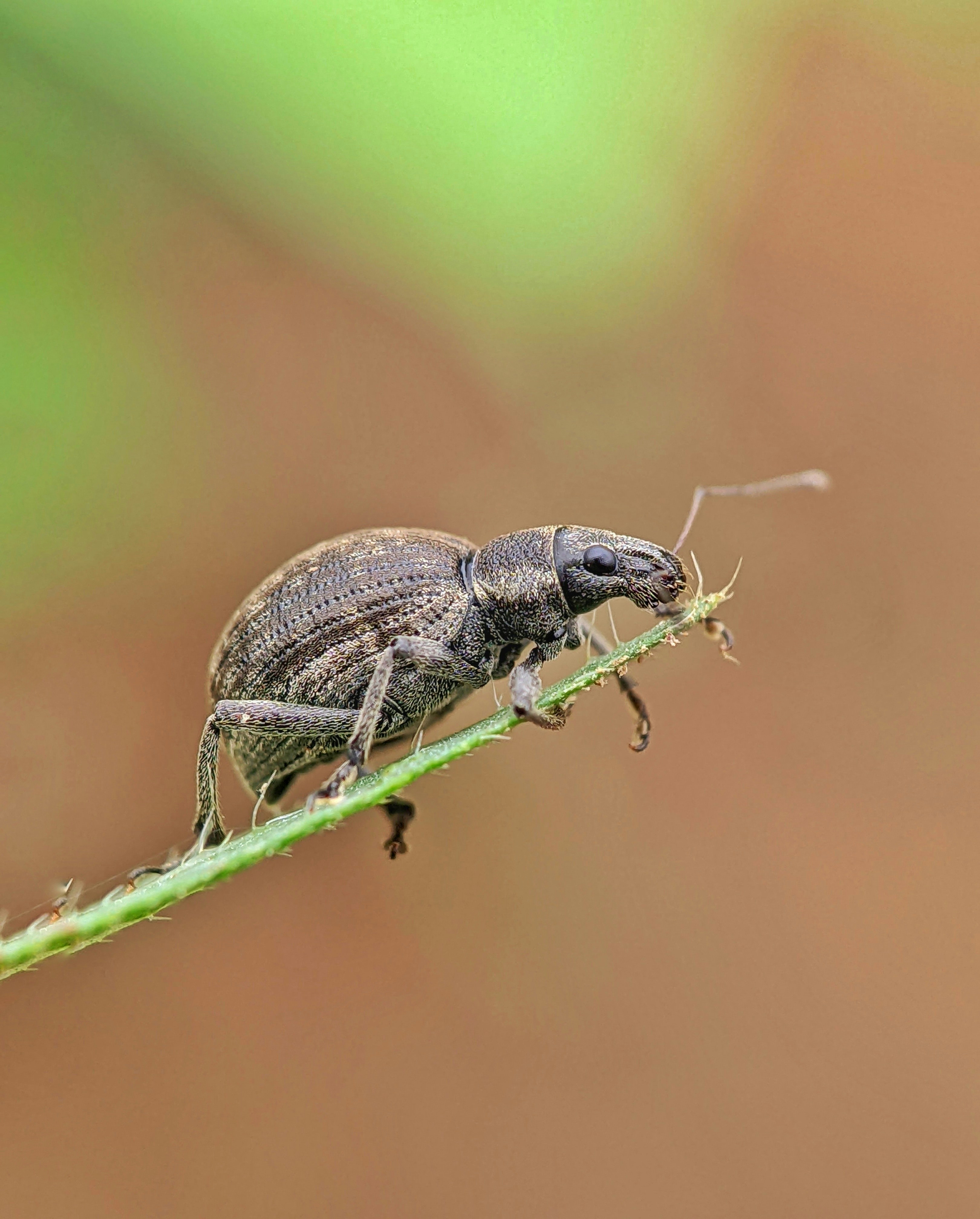 Photo by sai pixels with Google Pixel 3a