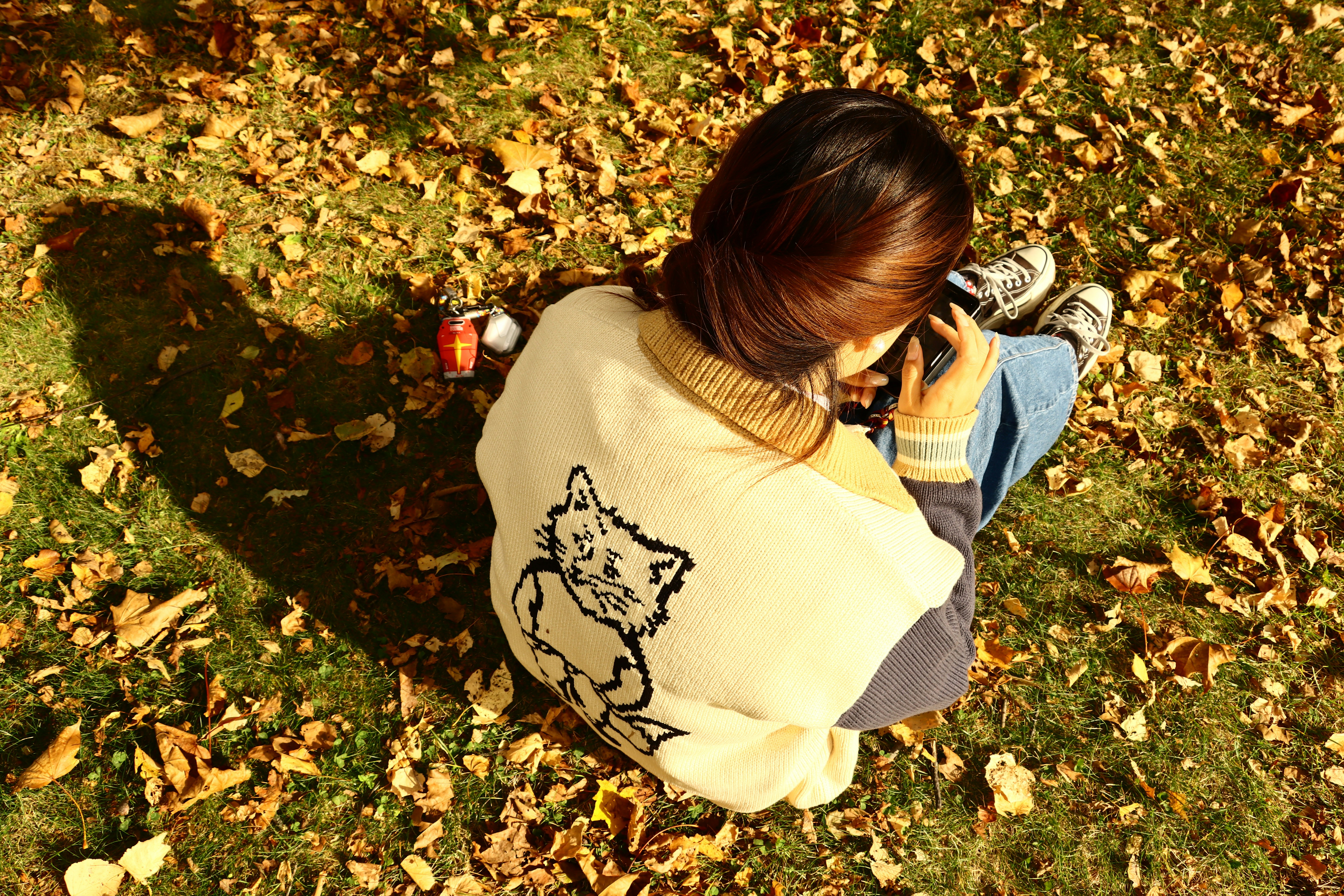 Autumn From Above: A Cozy Cat-Sweater Moment on Leafy Ground