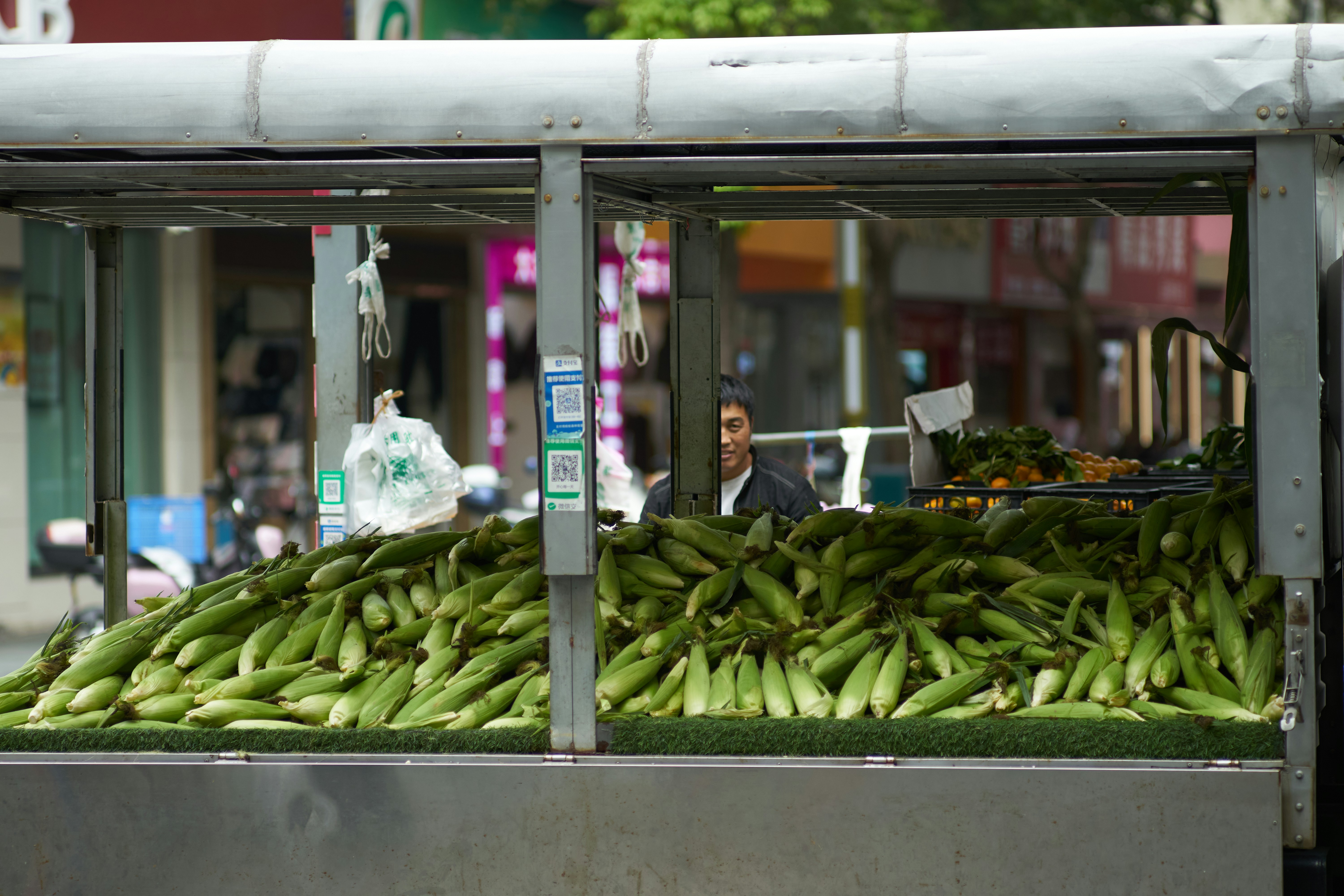 Urban Market Corn Cart: A Quiet Green Moment Amid Steel