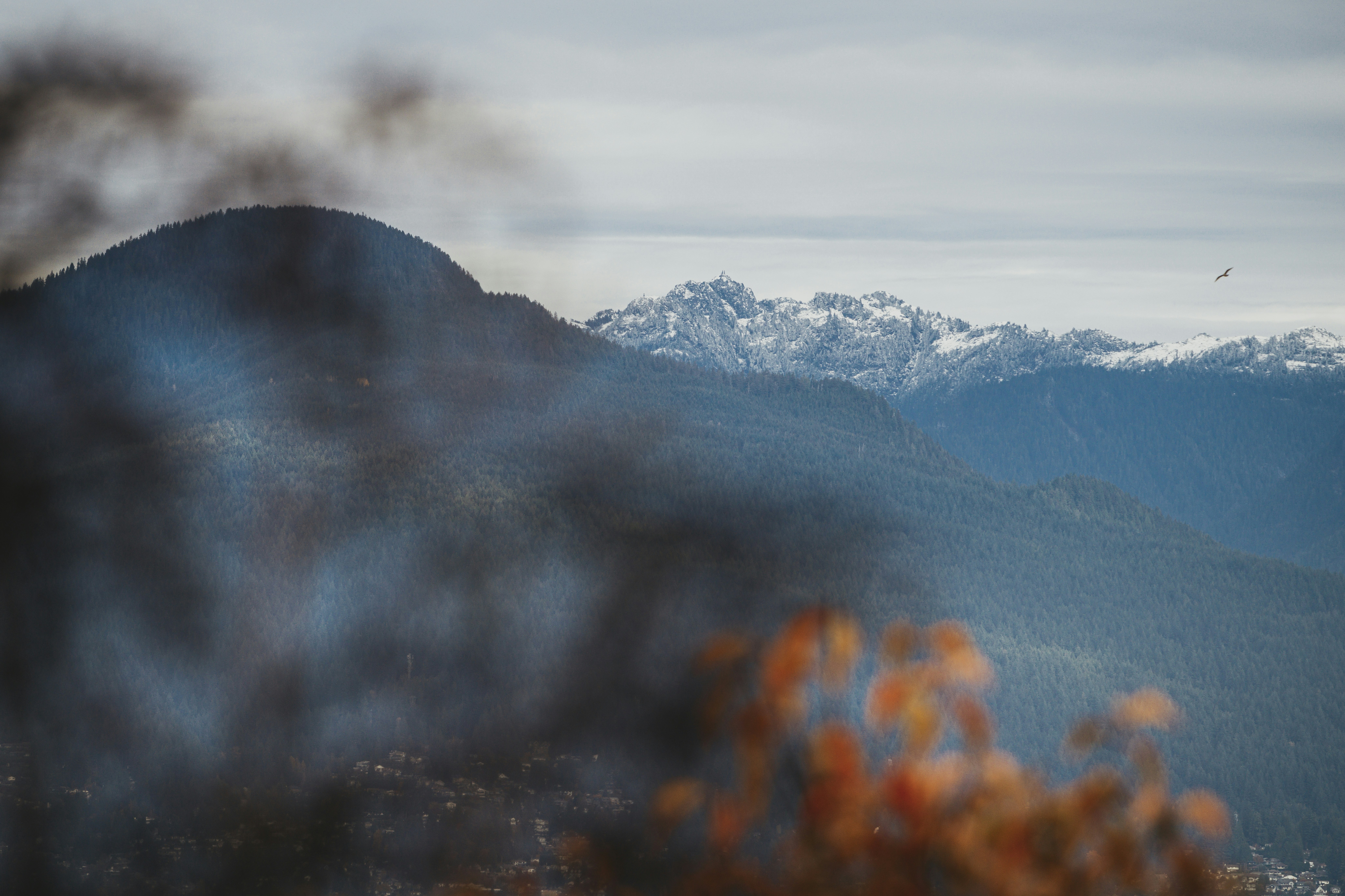 Snow-Capped Ridge Emerging Through Alpine Morning Haze