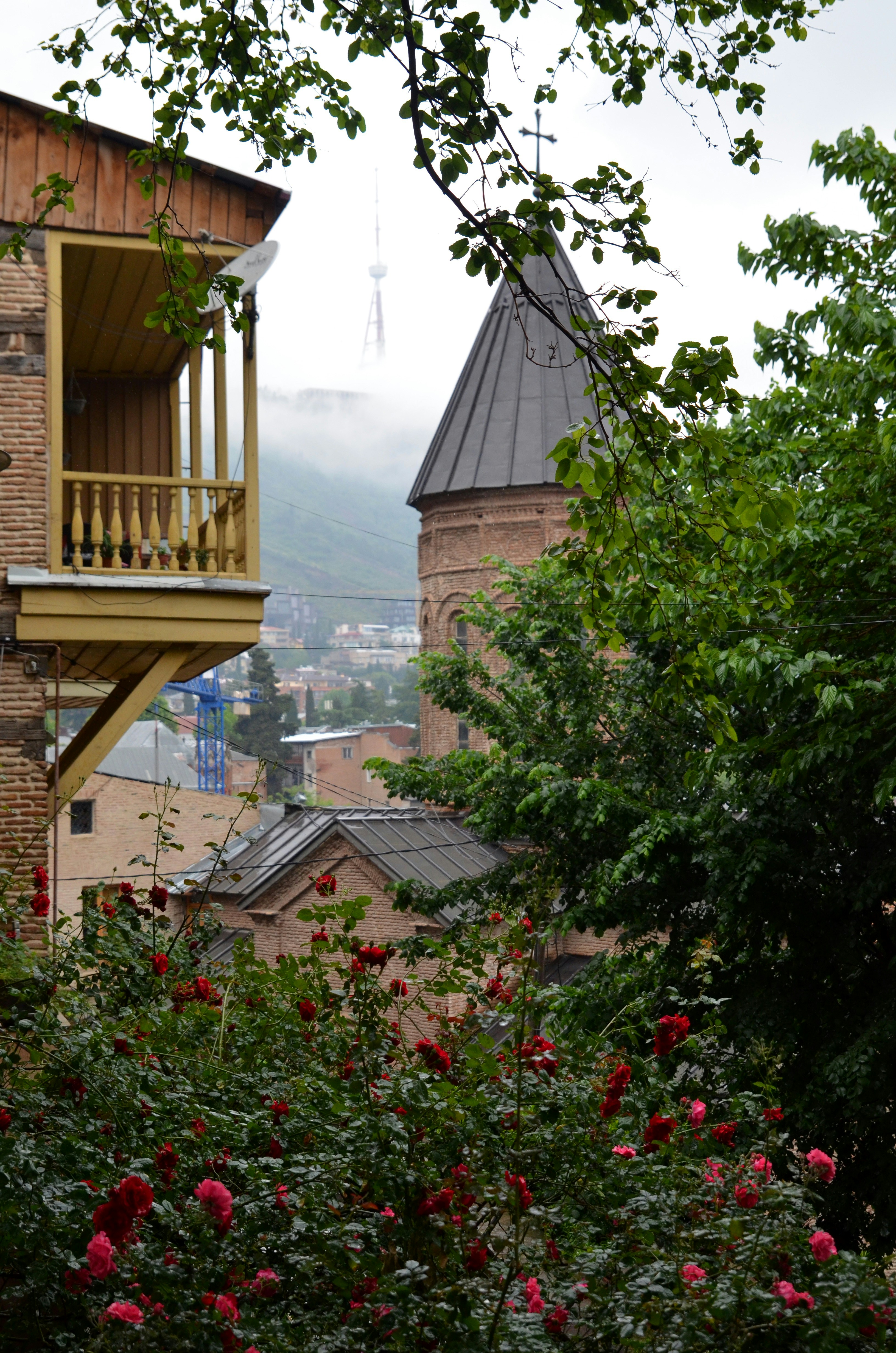 Rooftop Roses Framing a Turreted Tower Amid Morning Mist