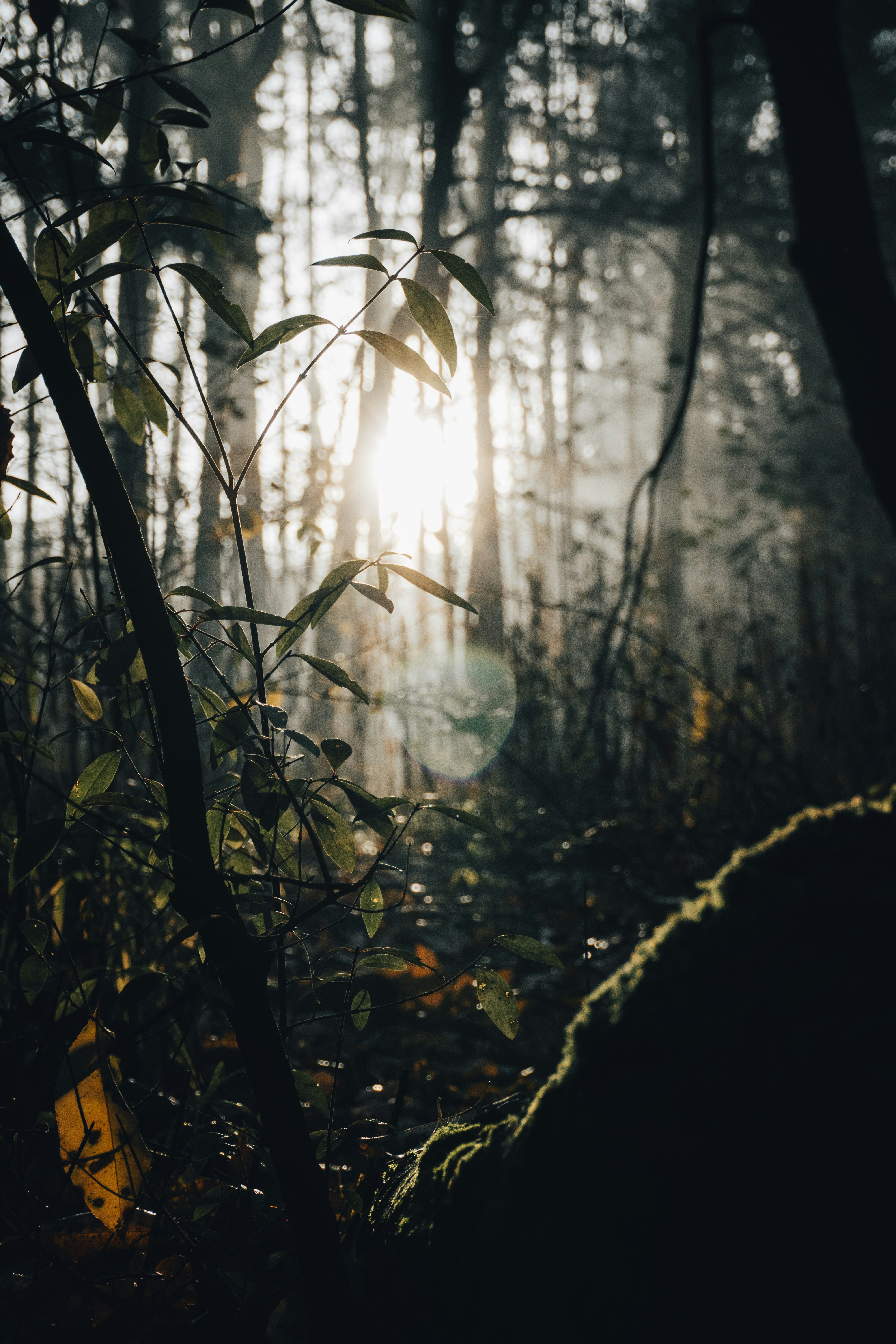 Photo by Spruce with Sony Alpha 6400