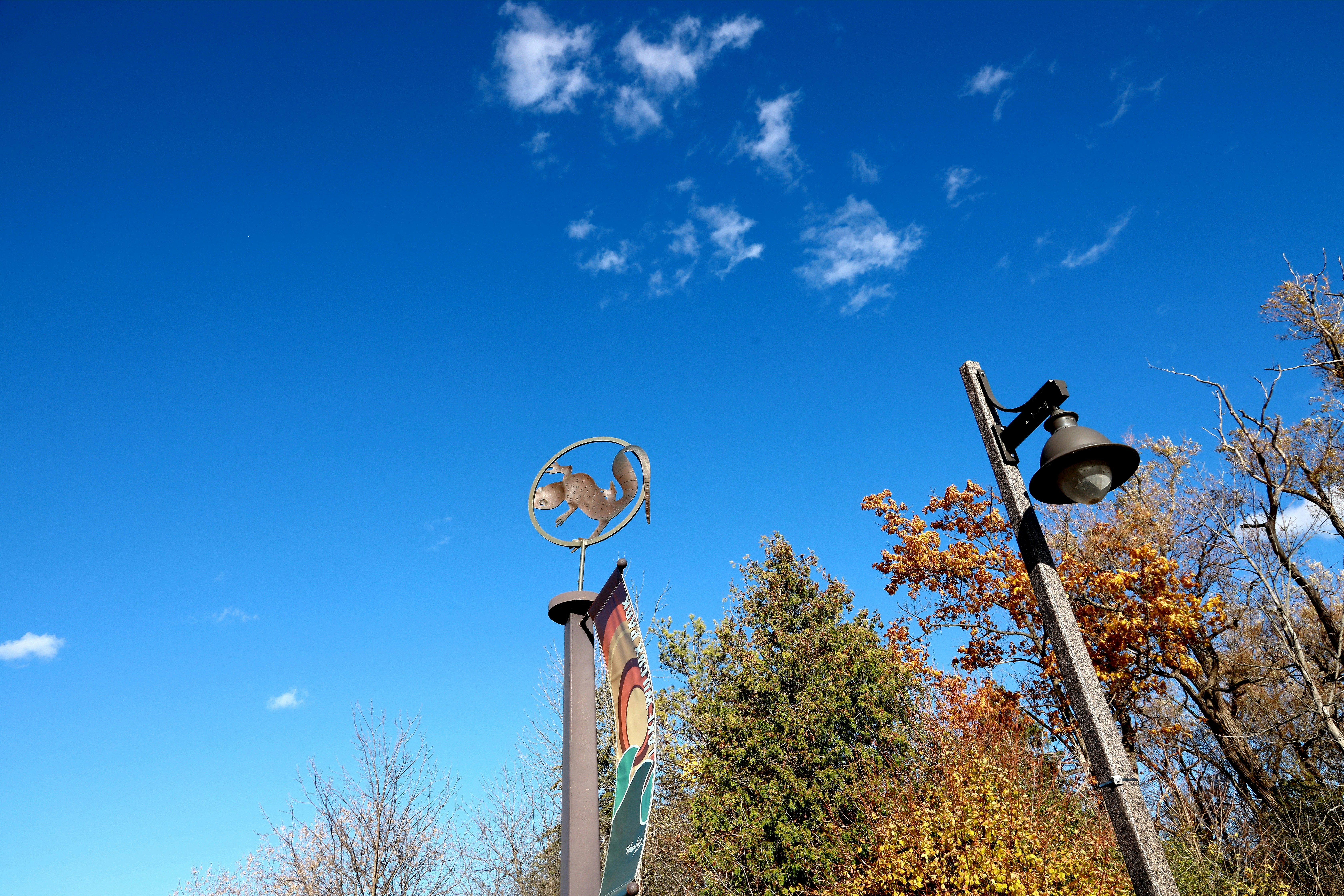 Circular Emblem on a Weathered Sign Under a Clear Autumn Sky