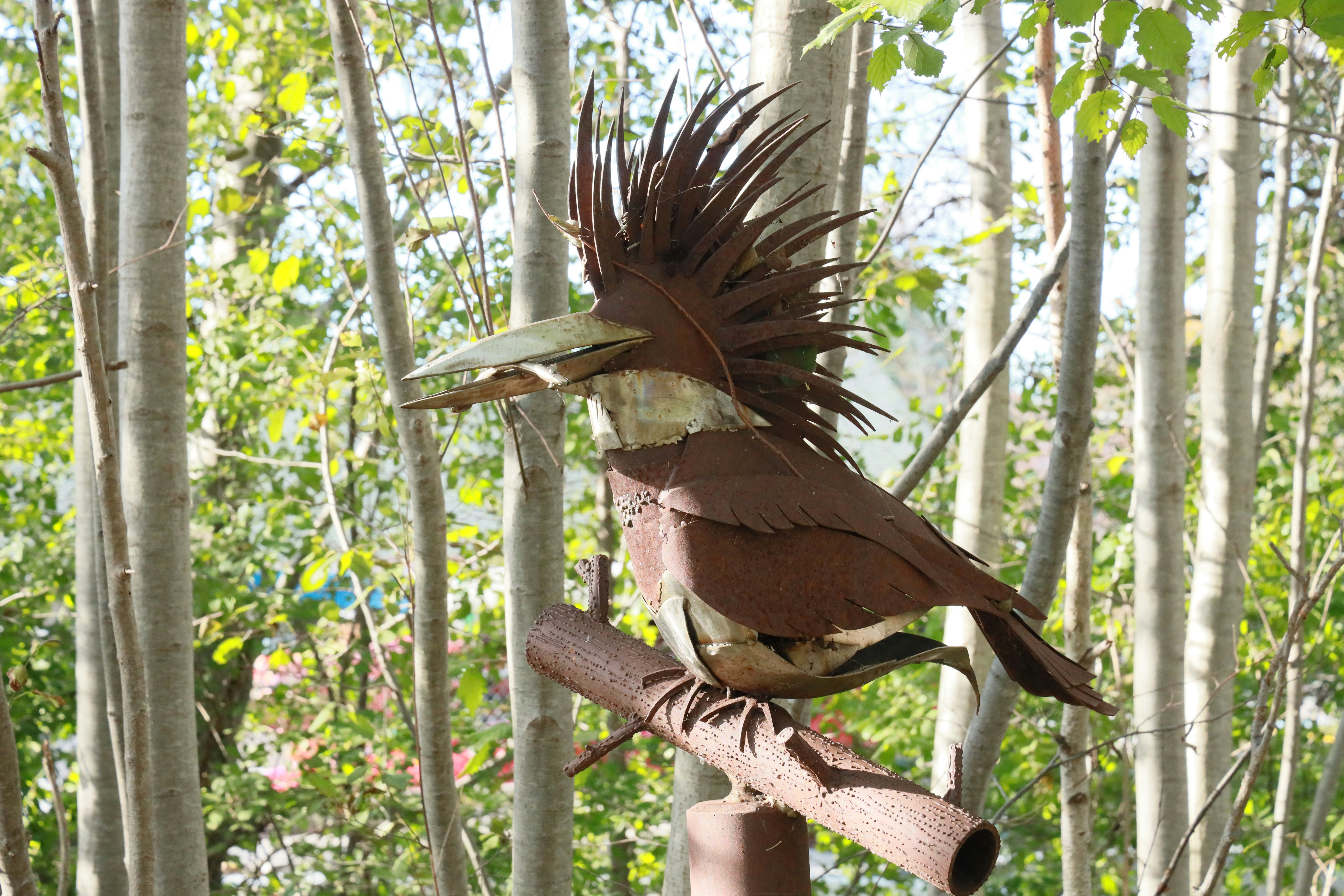 Photo by Richard Burlton with Canon EOS R