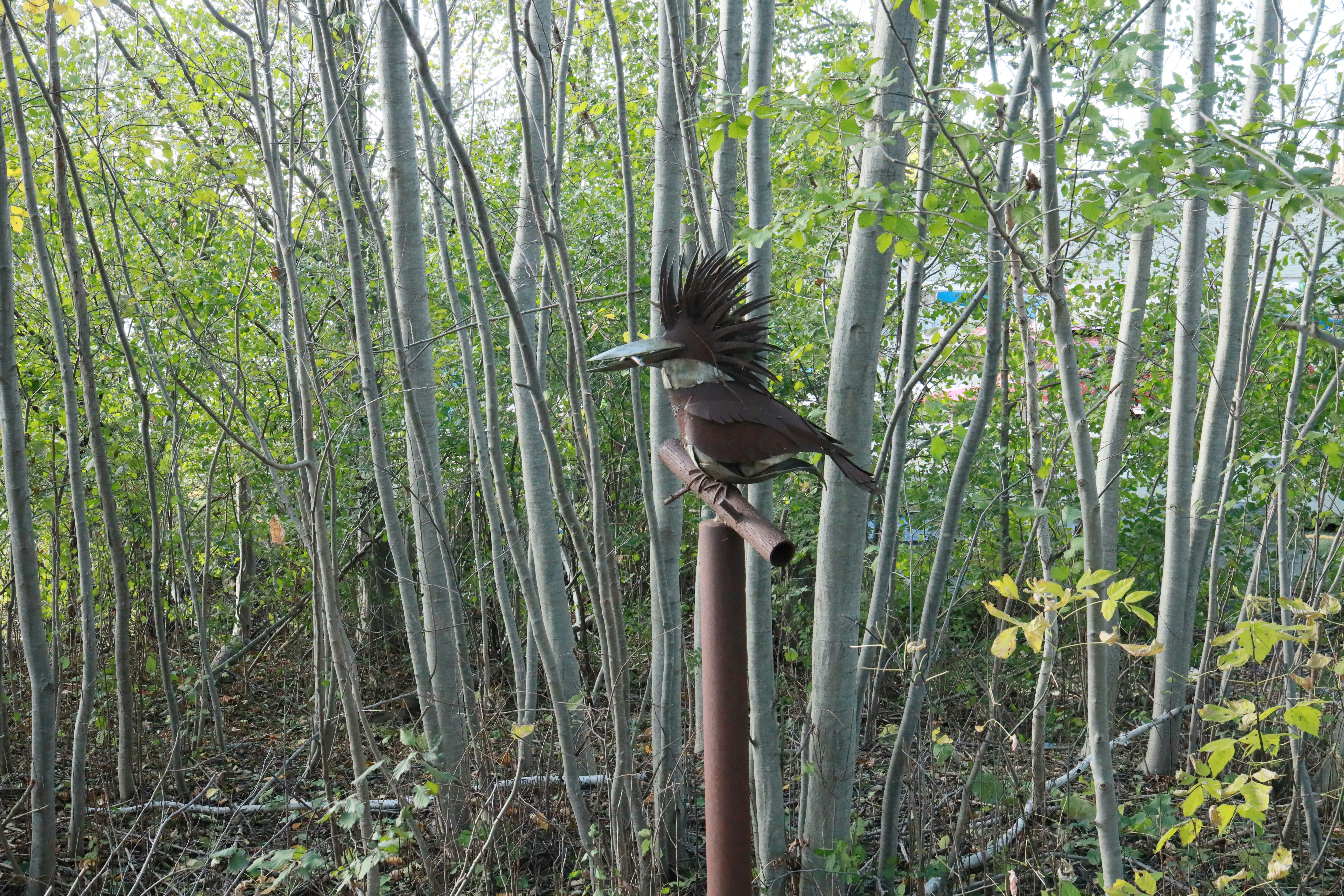 Bird on a Weathered Spear: A Quiet Moment in the Birch Thicket