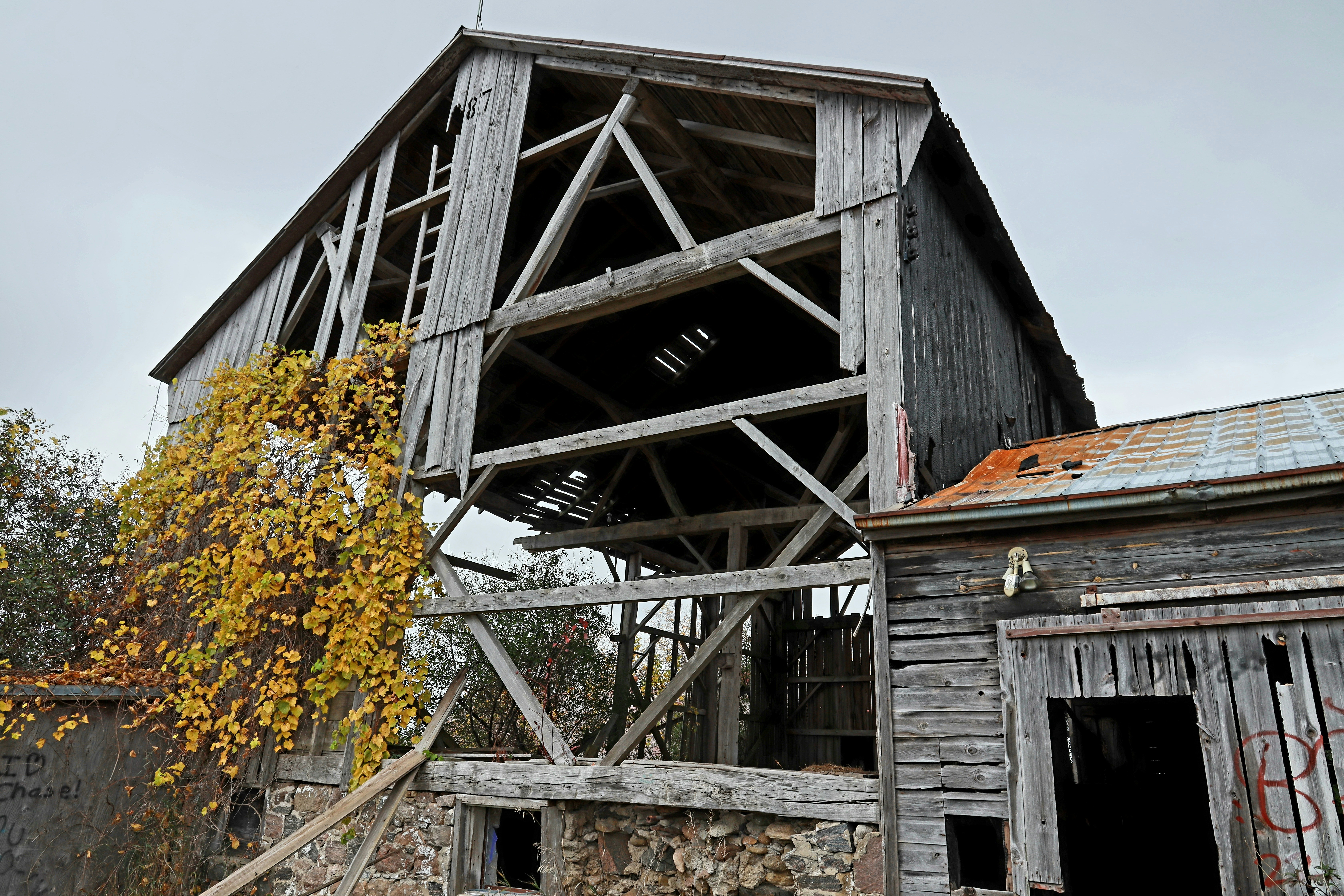 Photo by Richard Burlton with Canon EOS R