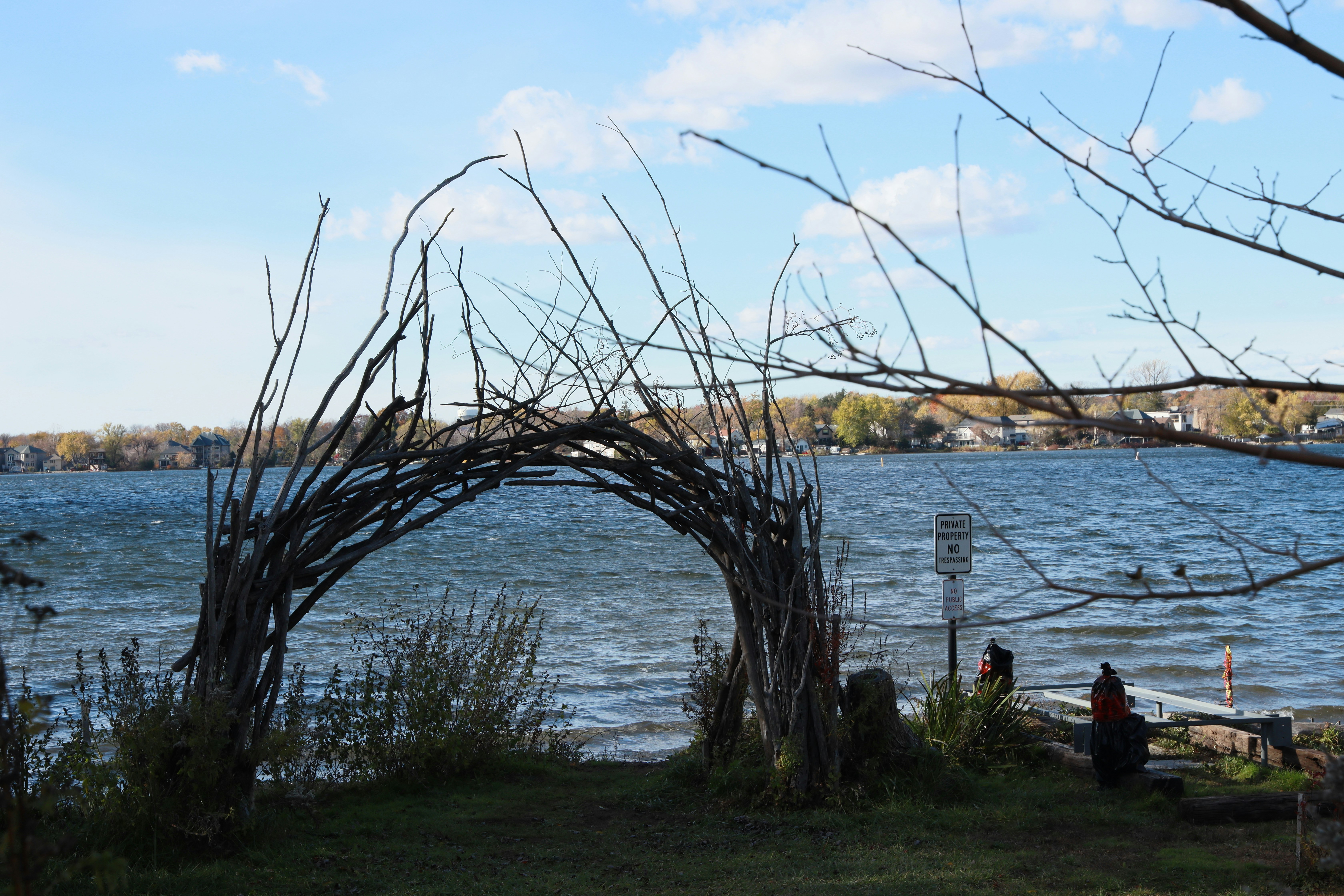 Photo by Richard Burlton with Canon EOS R