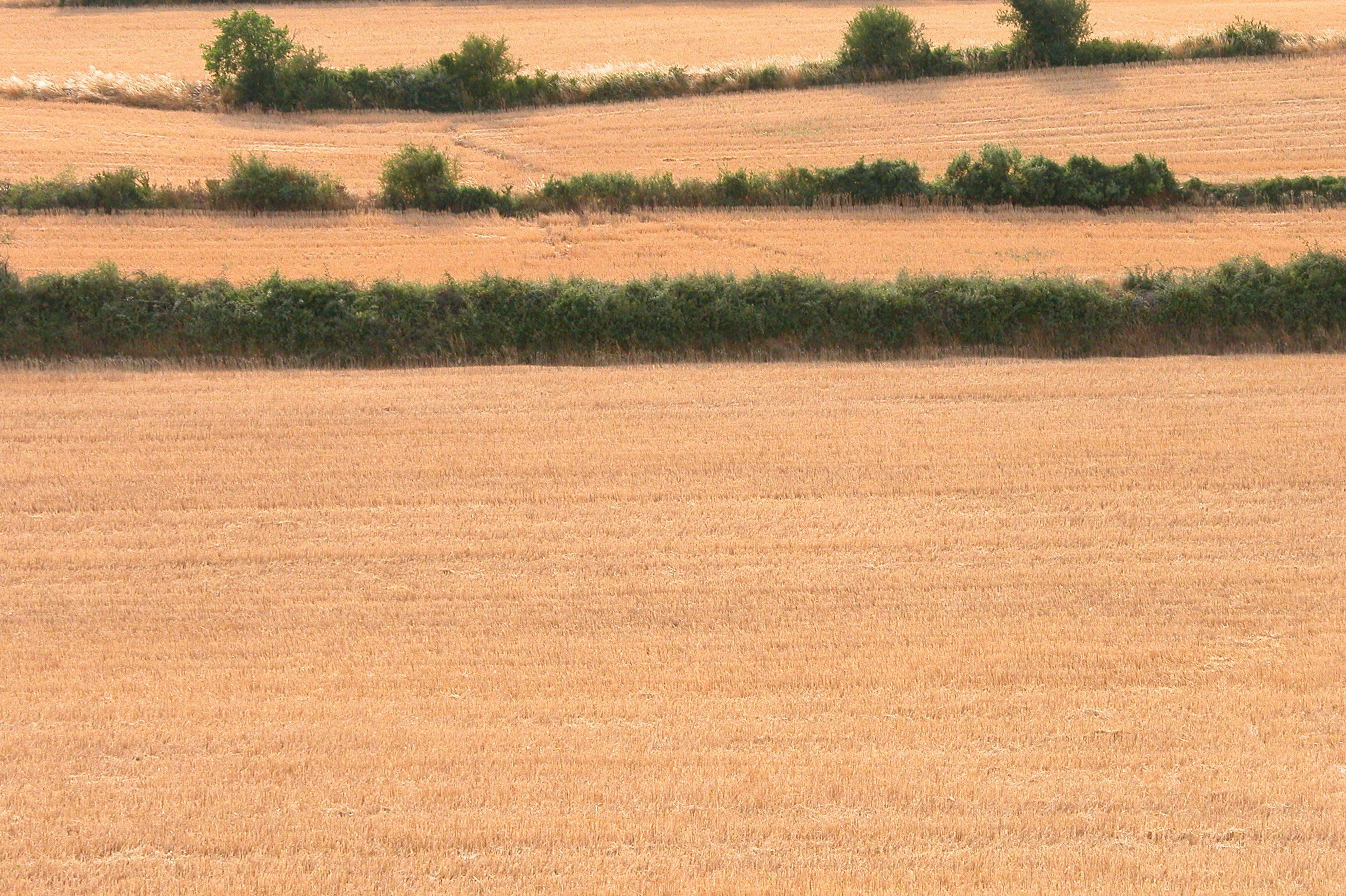 Photo by Jean-Luc Duchêne with Nikon Coolpix E5700