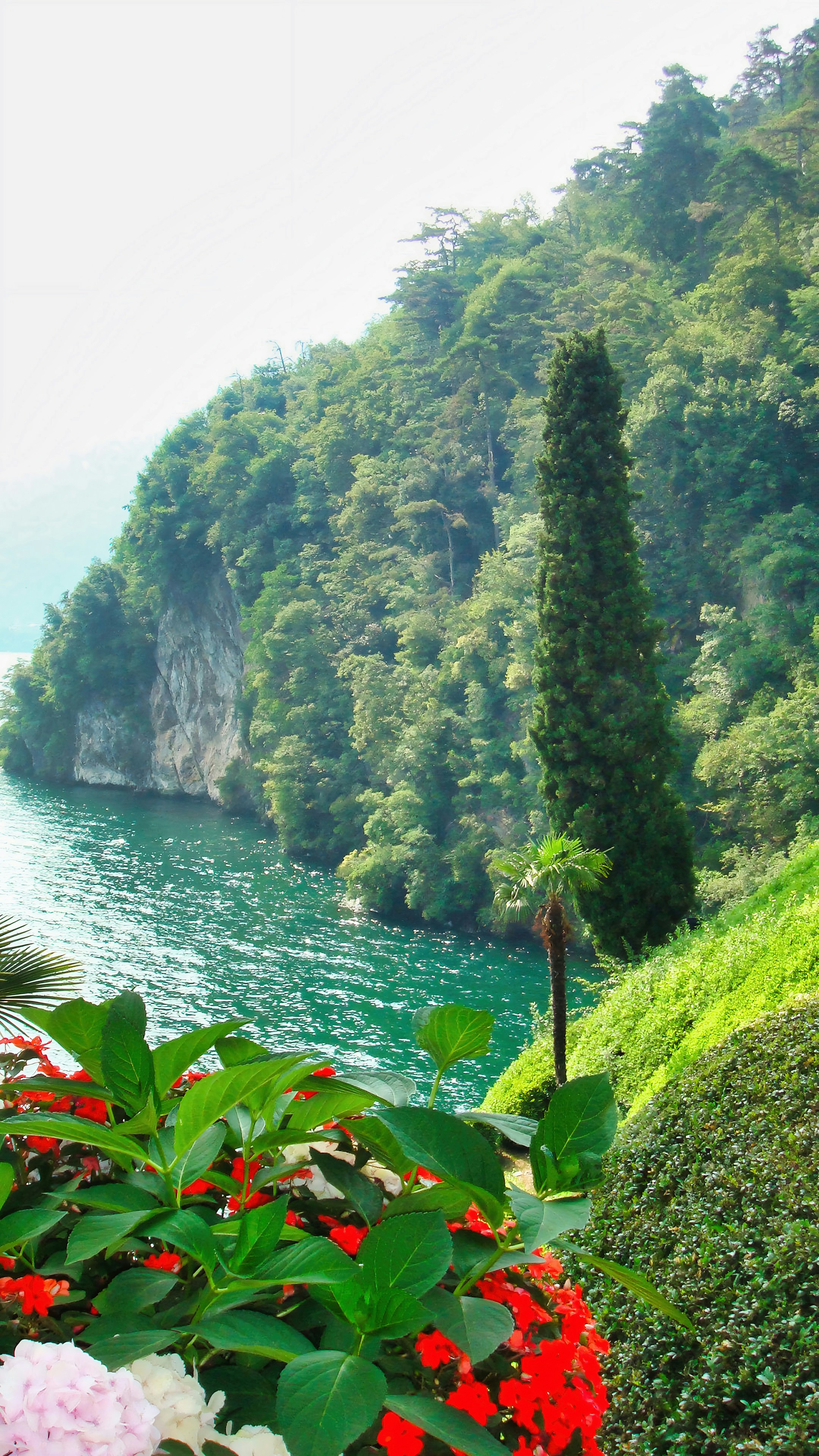 Photo by Marc Snailum with Sony Cyber-shot T70