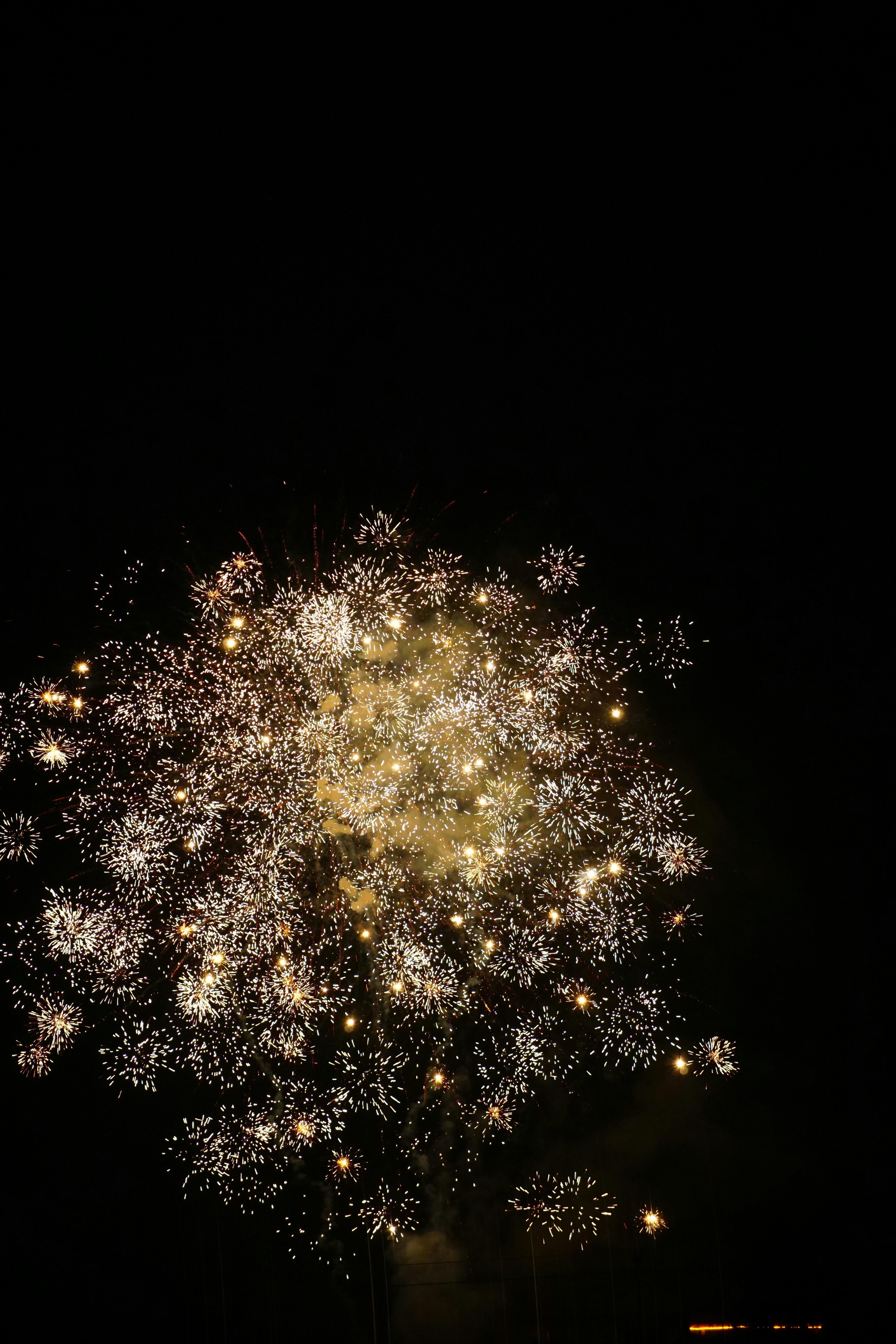 Gilded Petals in Midnight: A Firework Bouquet over Nightfall
