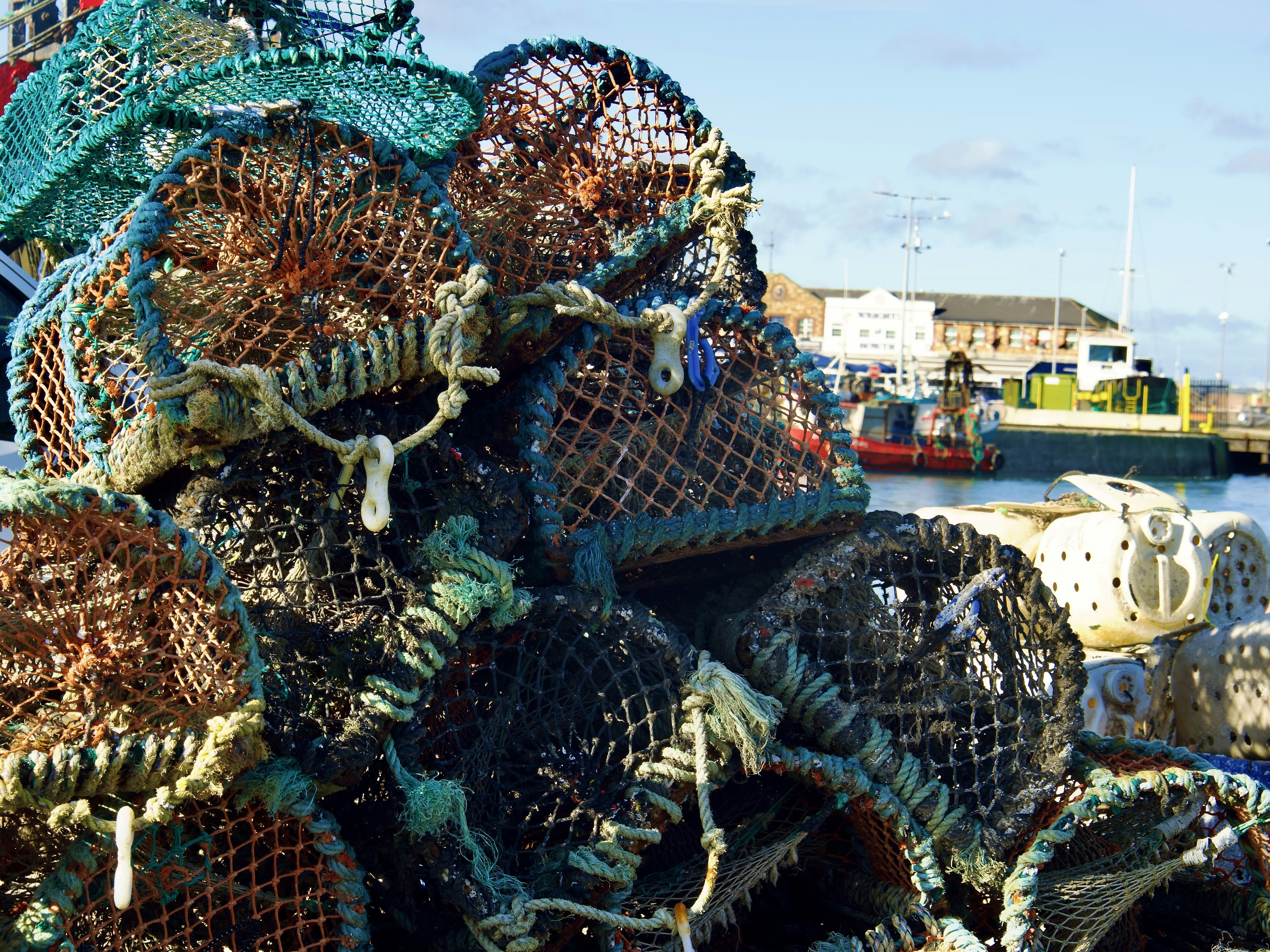 Photo by John Kostyk with Olympus OM-D E-M10 Mark IV