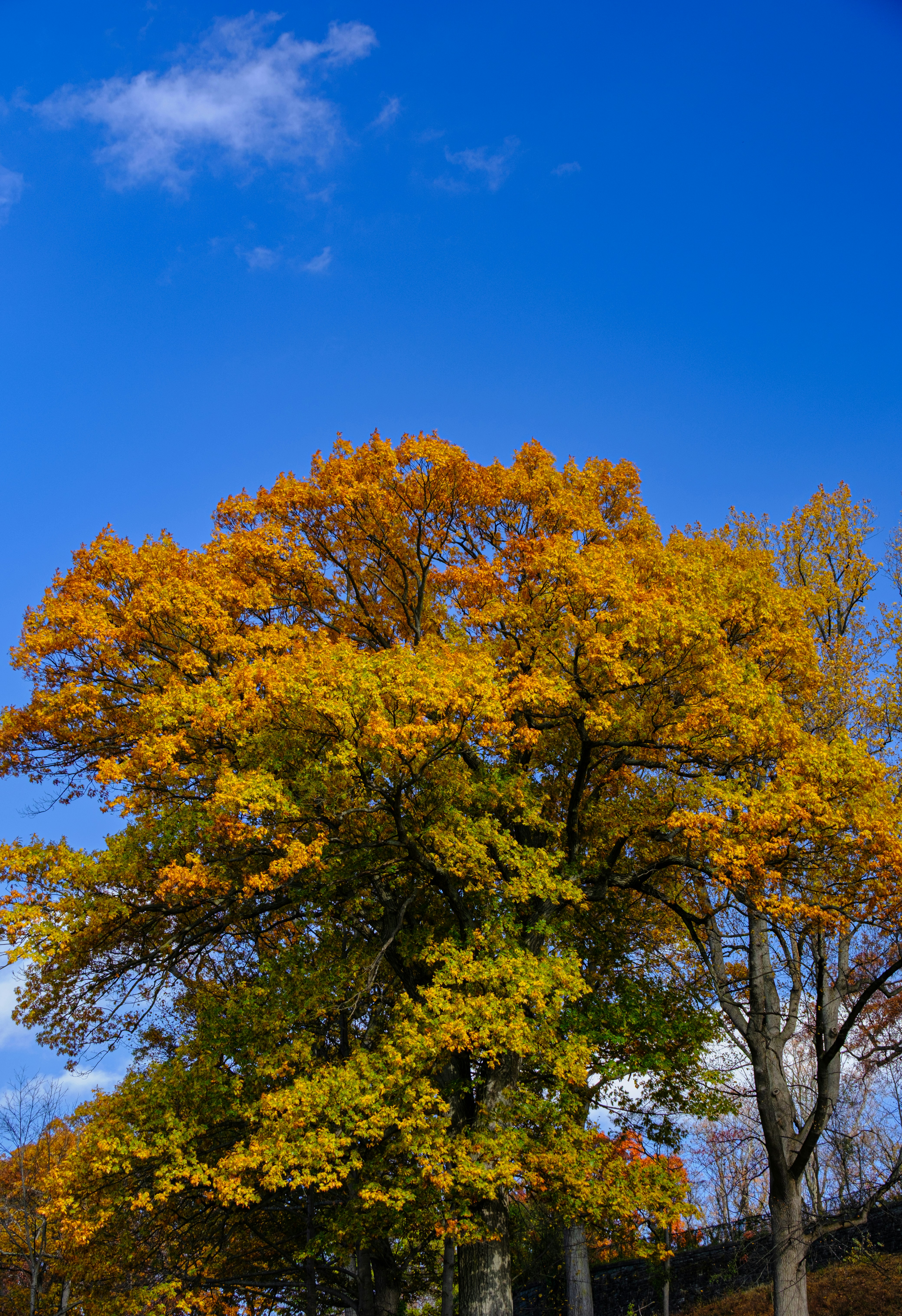 Photo by MICHAEL CHIARA with Fujifilm X-H2S