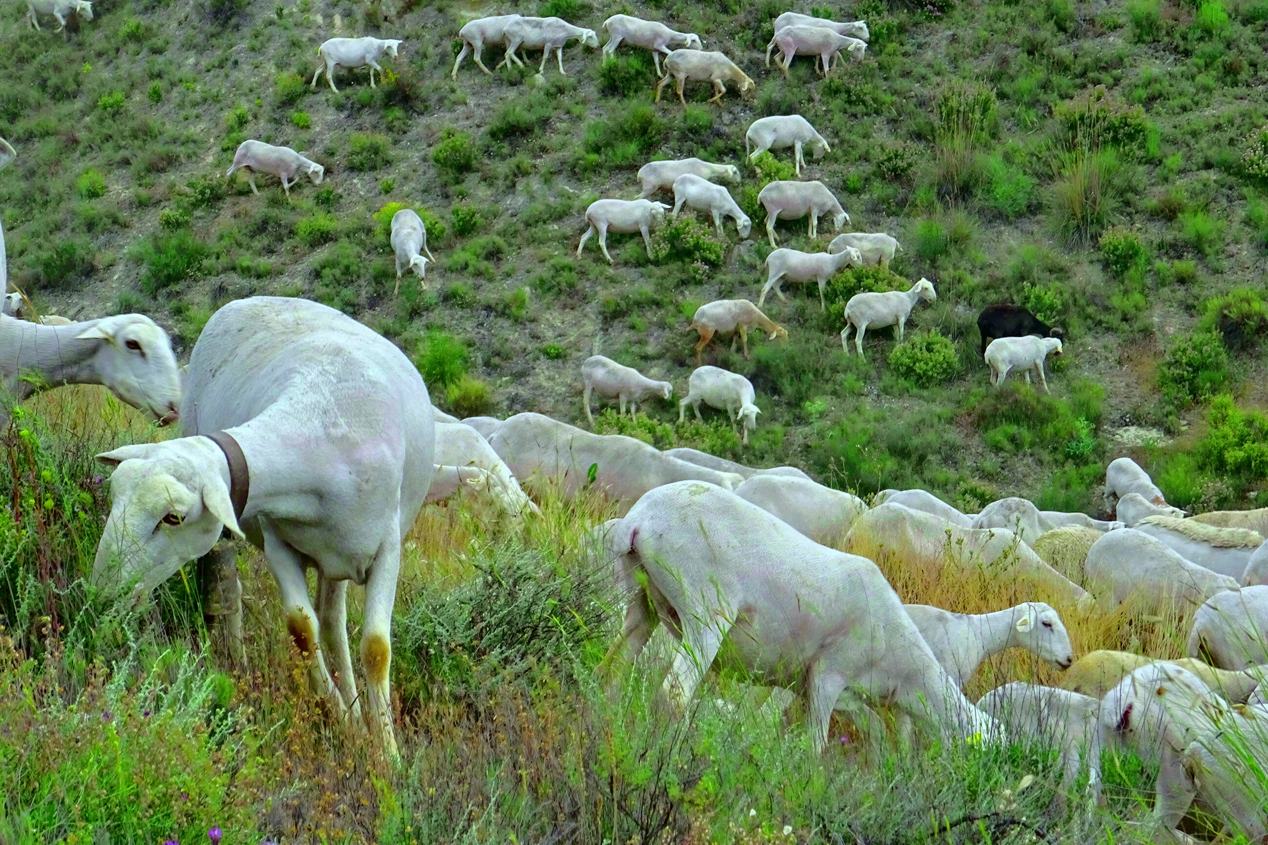 Photo by ROBERTO GOMIS GARCIA with Sony HX60