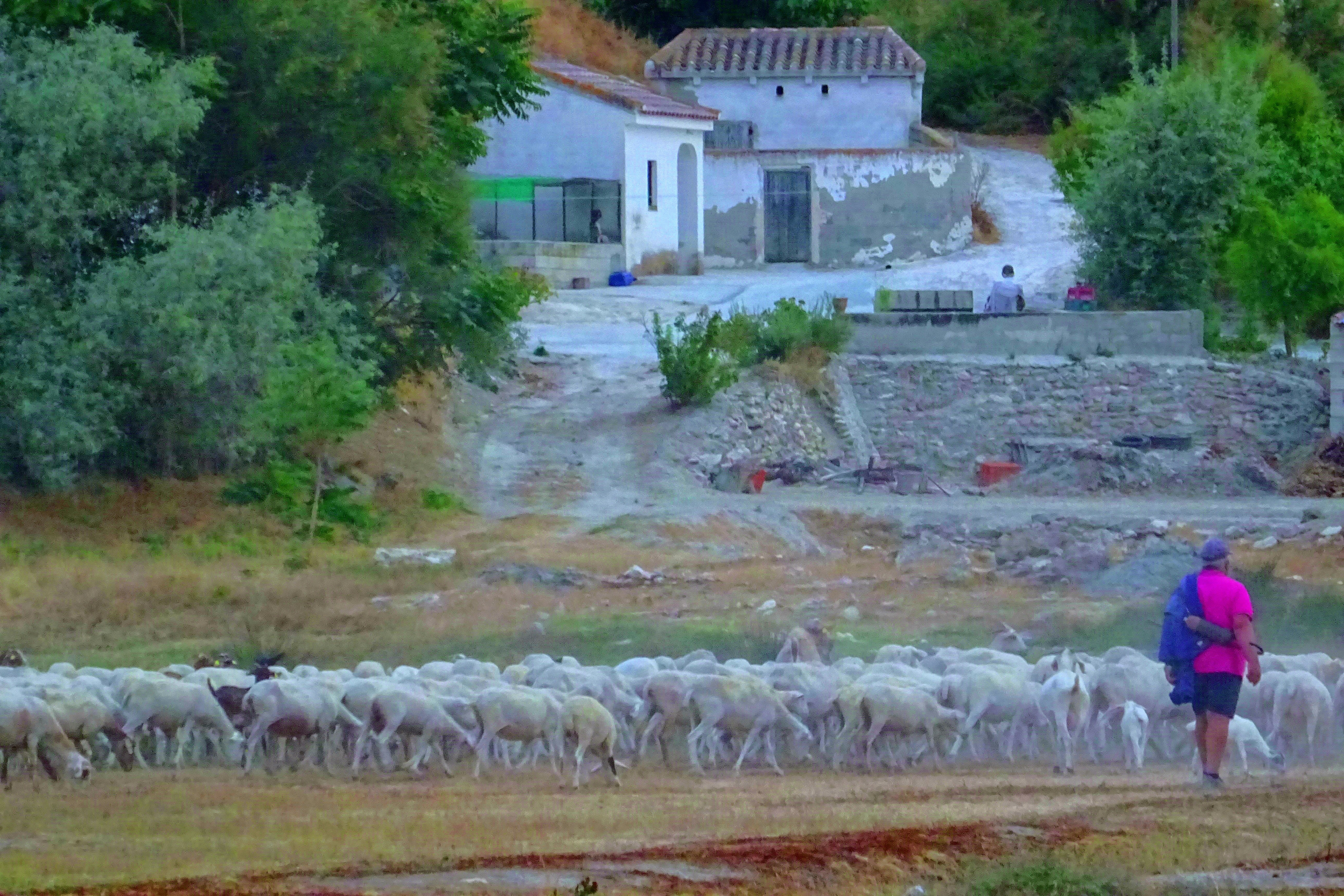 Photo by ROBERTO GOMIS GARCIA with Sony HX60