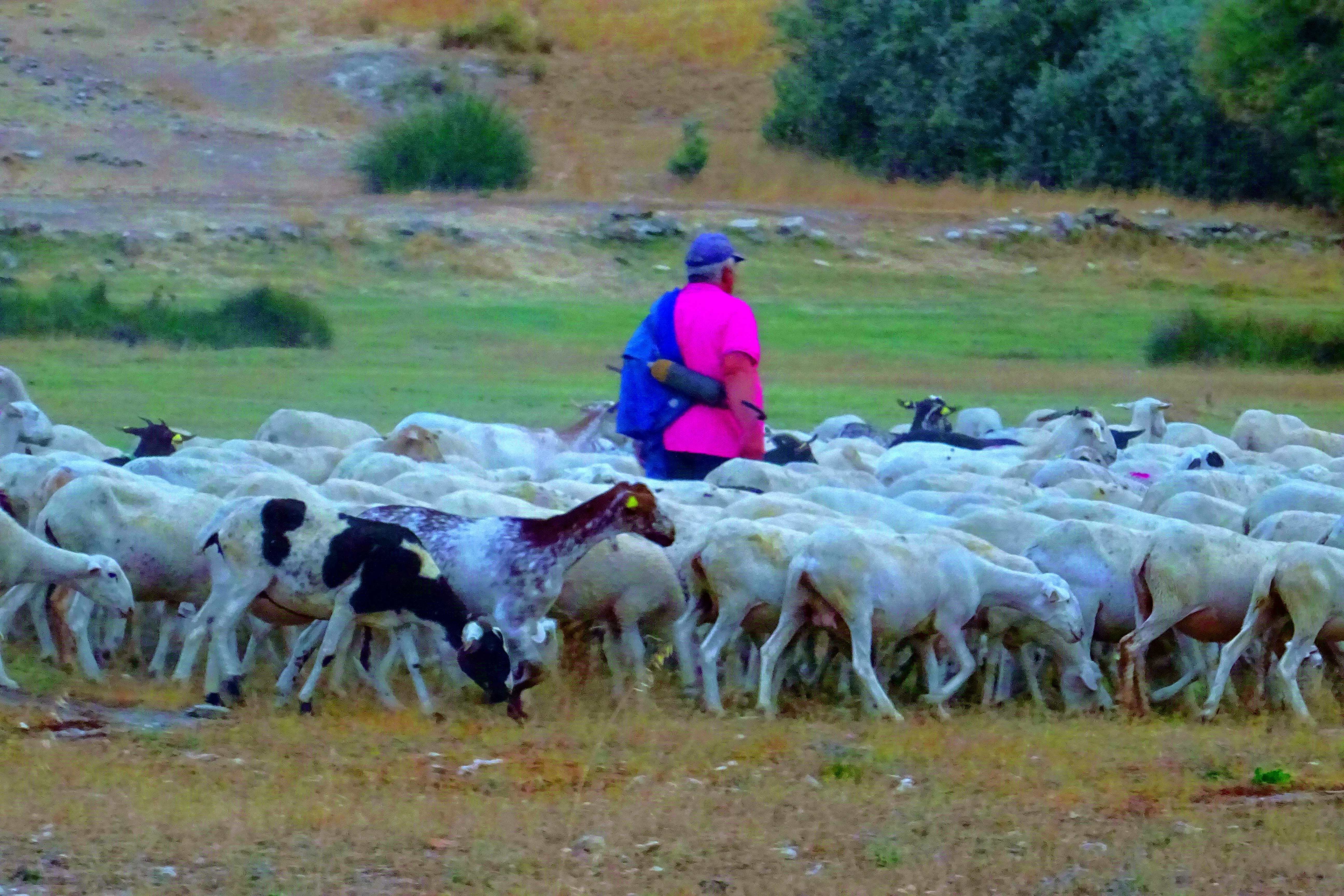 Photo by ROBERTO GOMIS GARCIA with Sony HX60