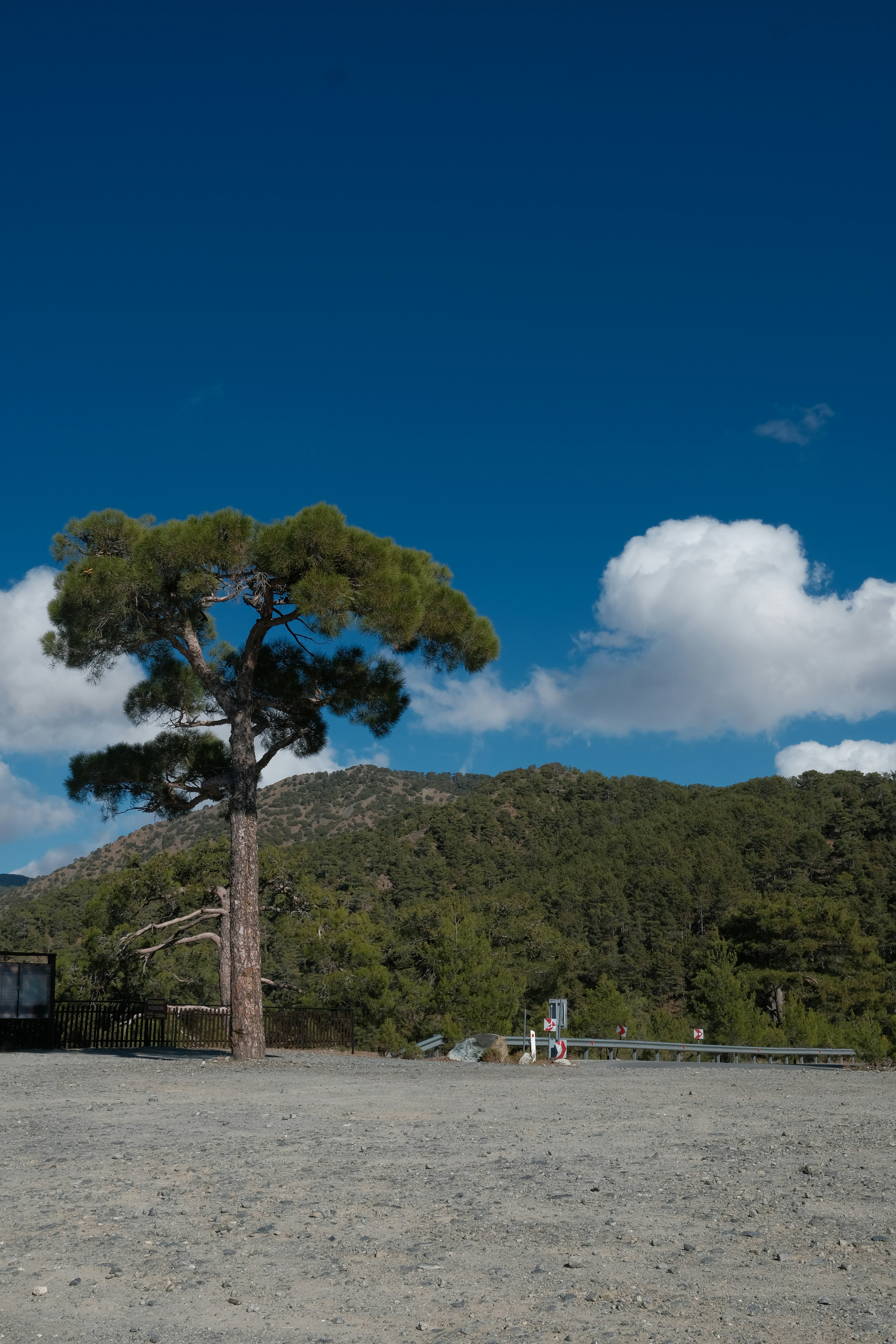 Photo by Roman Kravtsov with Fujifilm X-T30 II