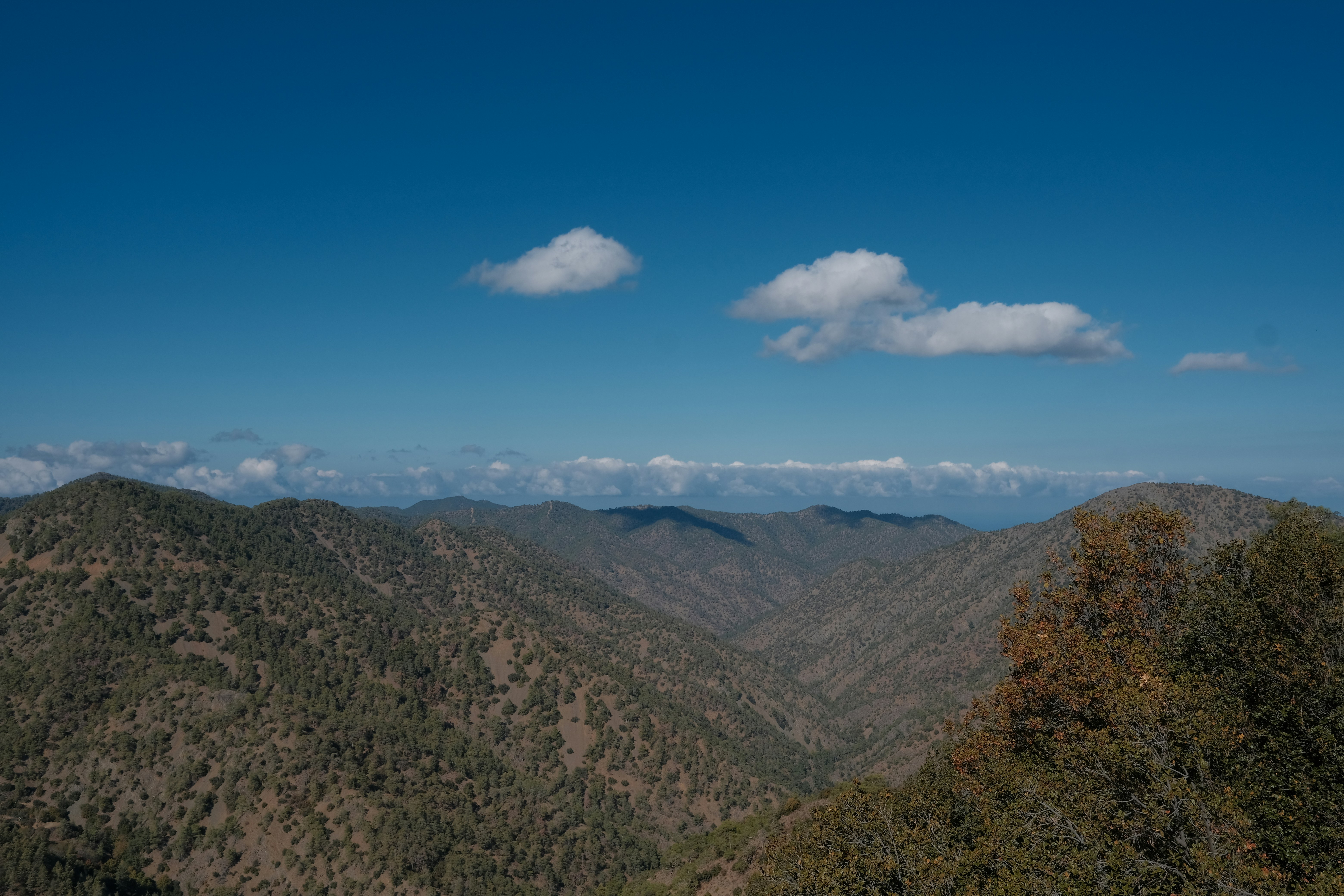 Photo by Roman Kravtsov with Fujifilm X-T30 II