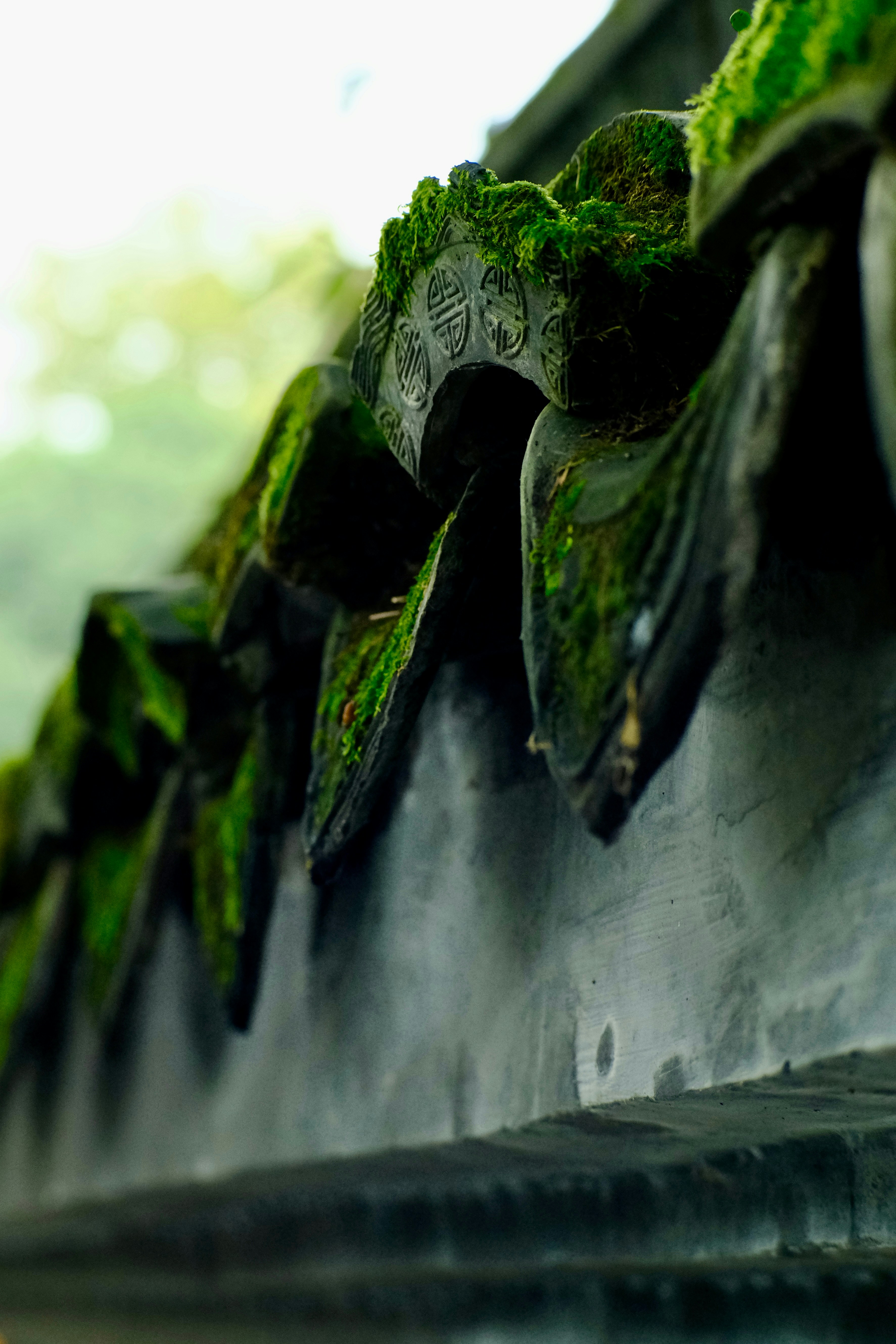 Moss-Wrapped Ridge: Close-Up on Weathered Tile Edges