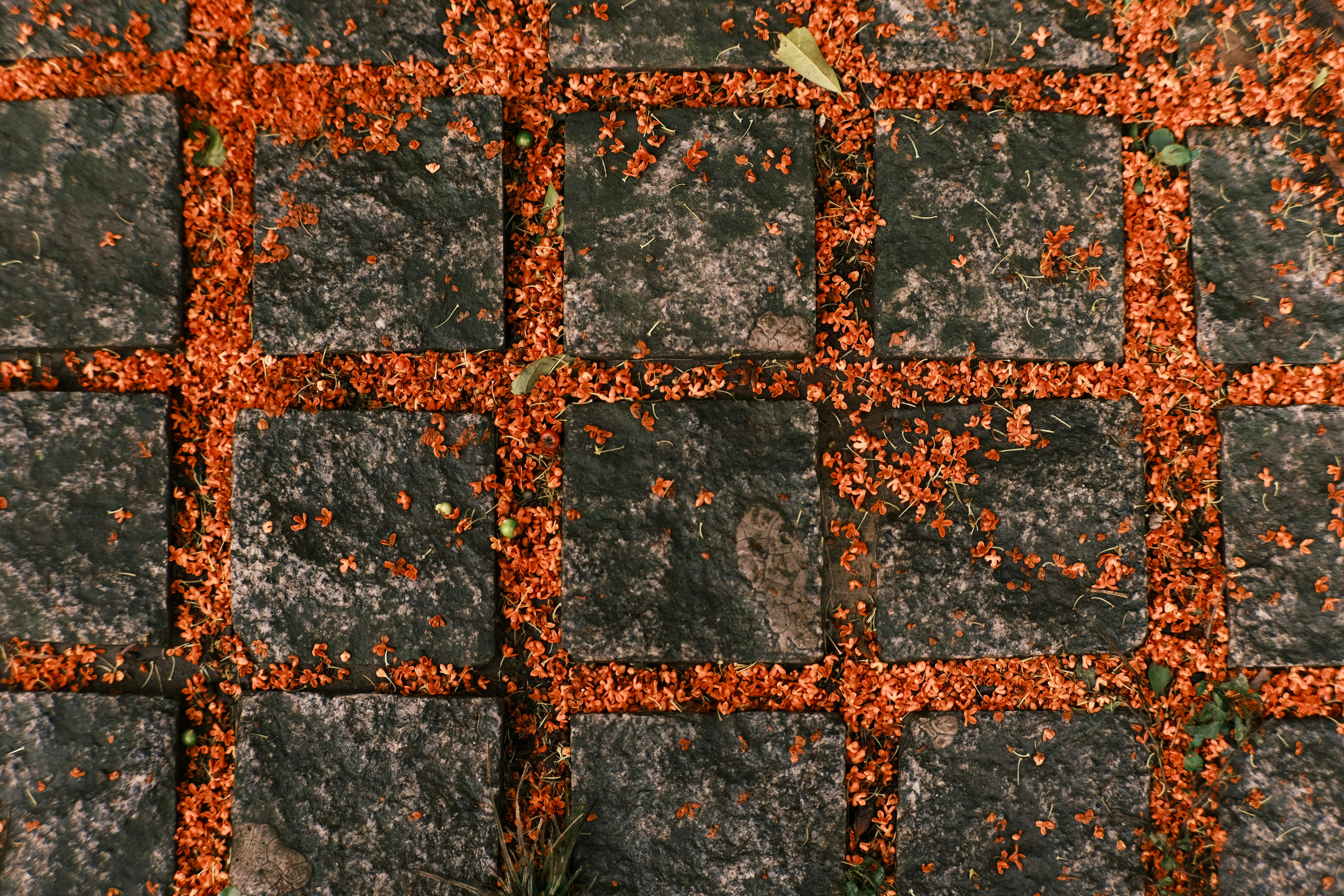 Ember Grid: Moss and Rust Between Slate Pavers