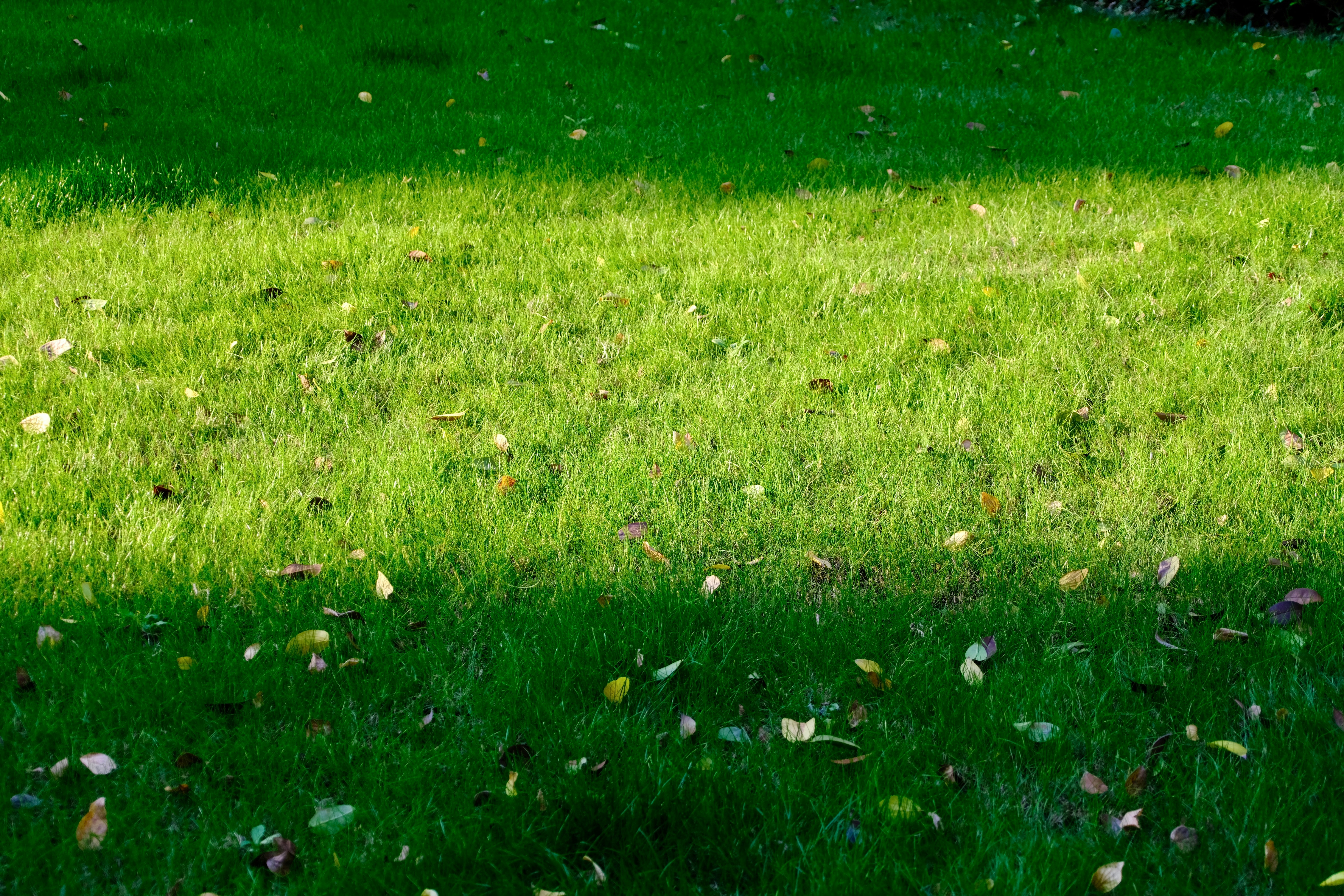 Photo by Alex He with Fujifilm X-T30 II