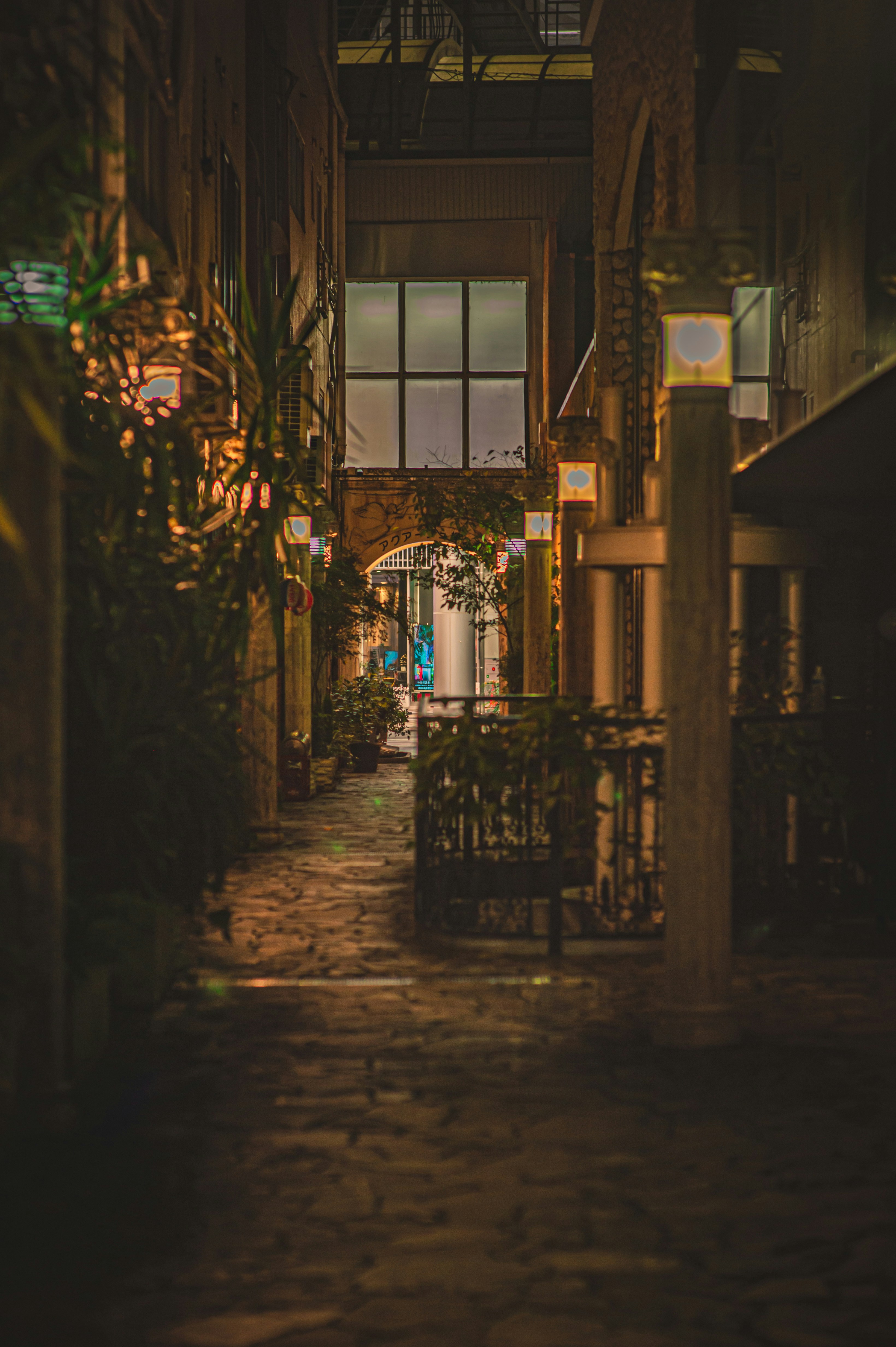 Photo by 5010 with Nikon Df