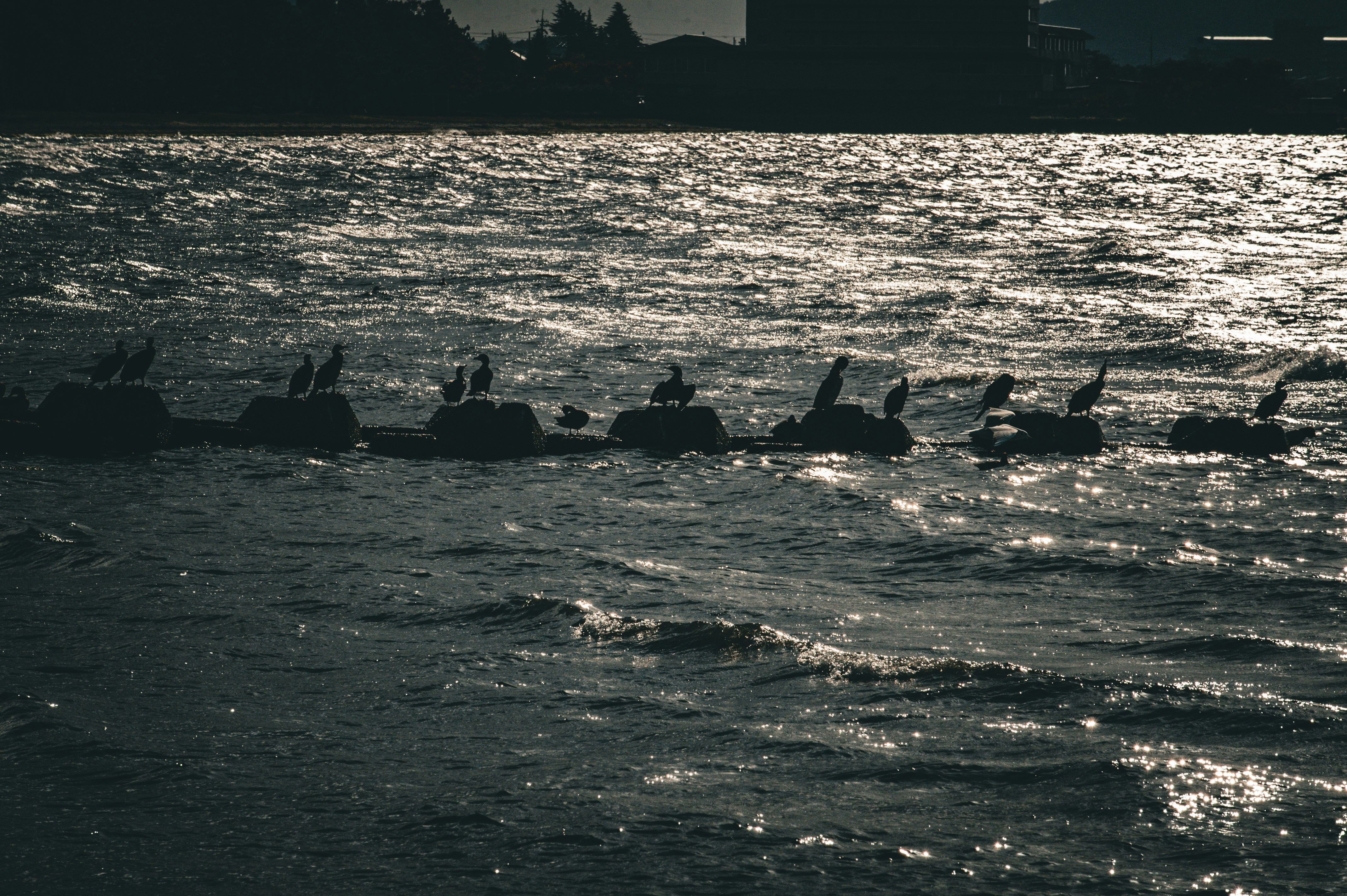 Dusk Rowers Cutting Through a Glittering Channel
