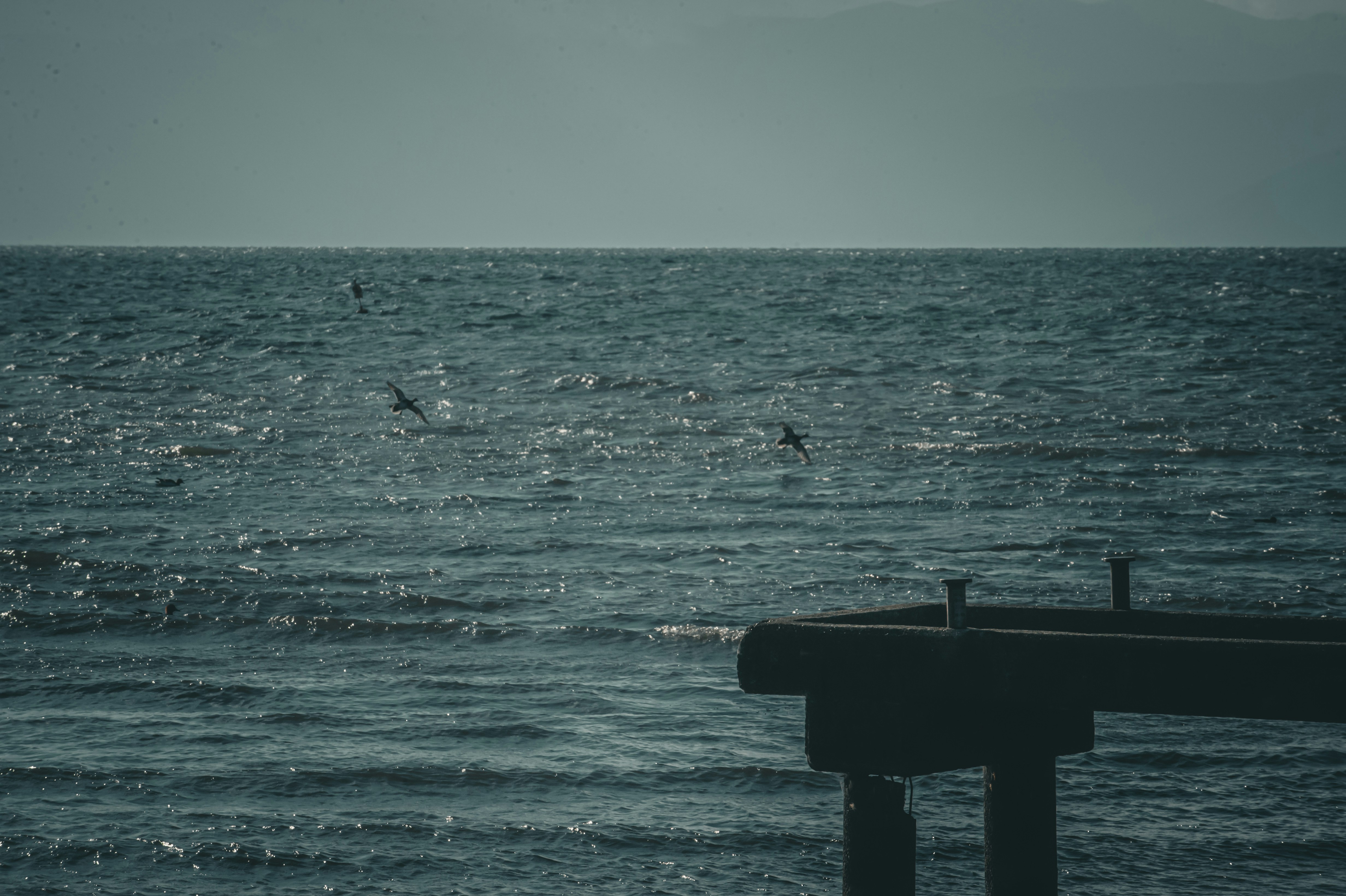 Teal hush: seabirds skim the horizon beside a lone pier