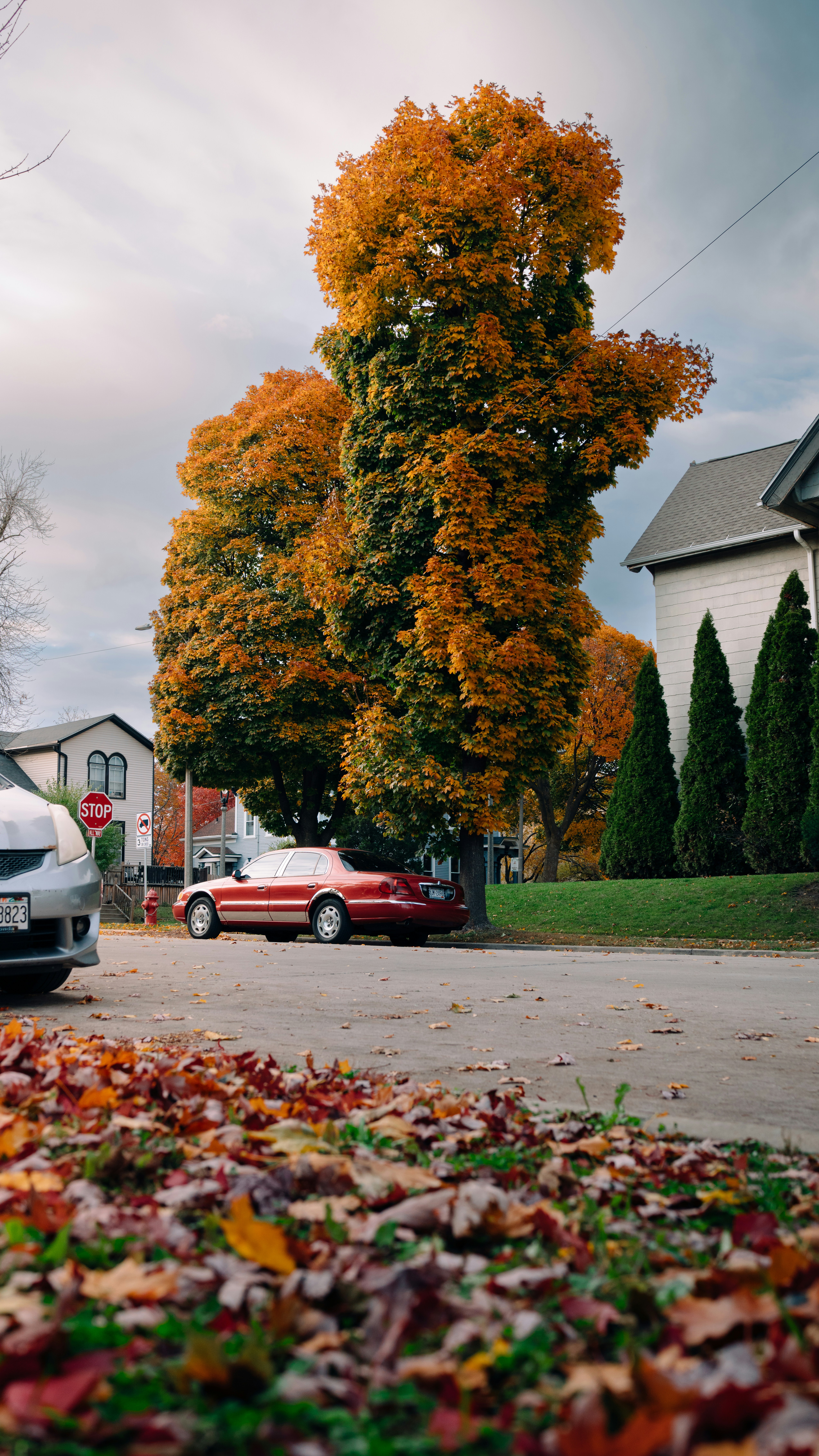 Red car parked near trees with autumn leaves
