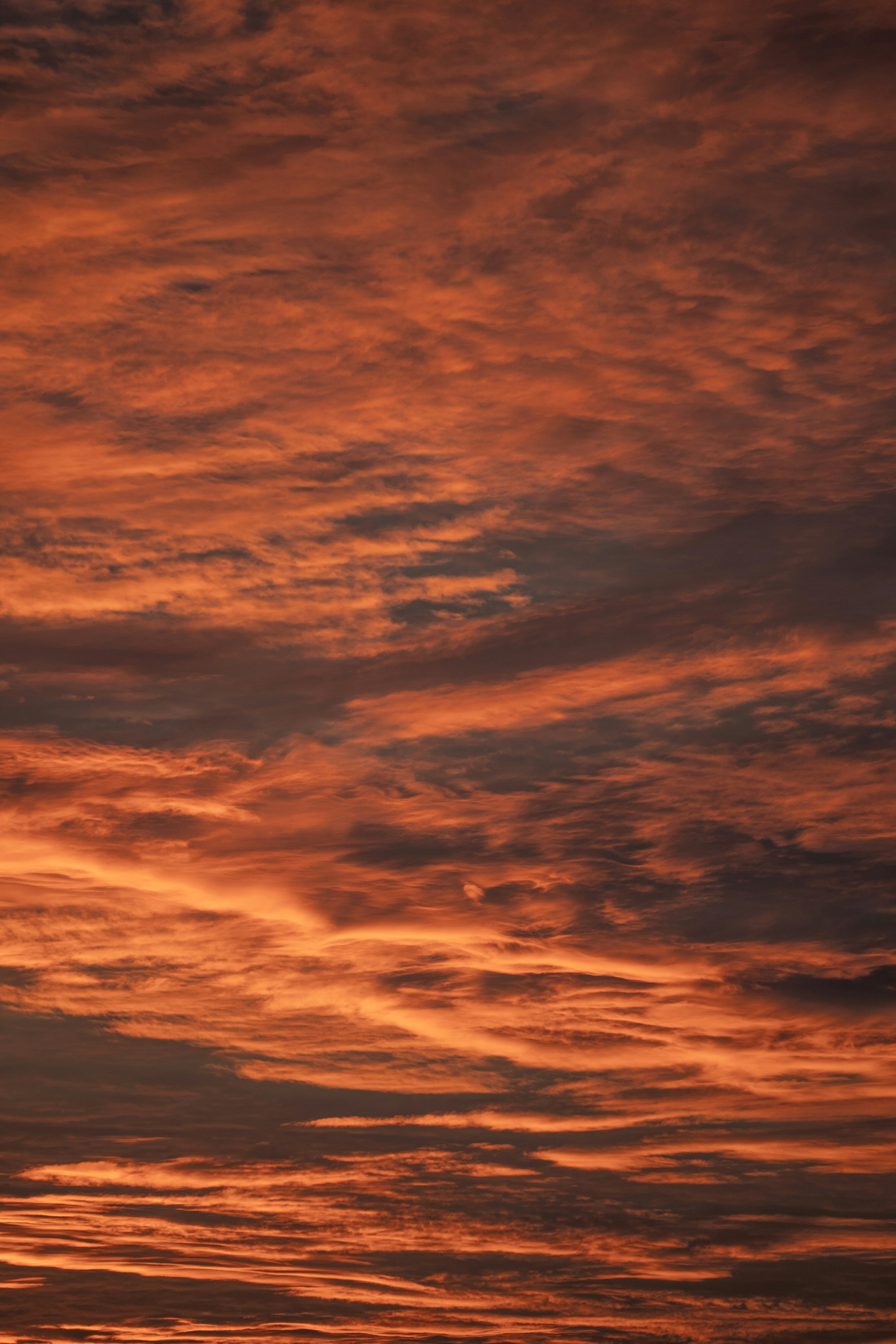 Photo by Vadim Sadovski with Sony Alpha 7C