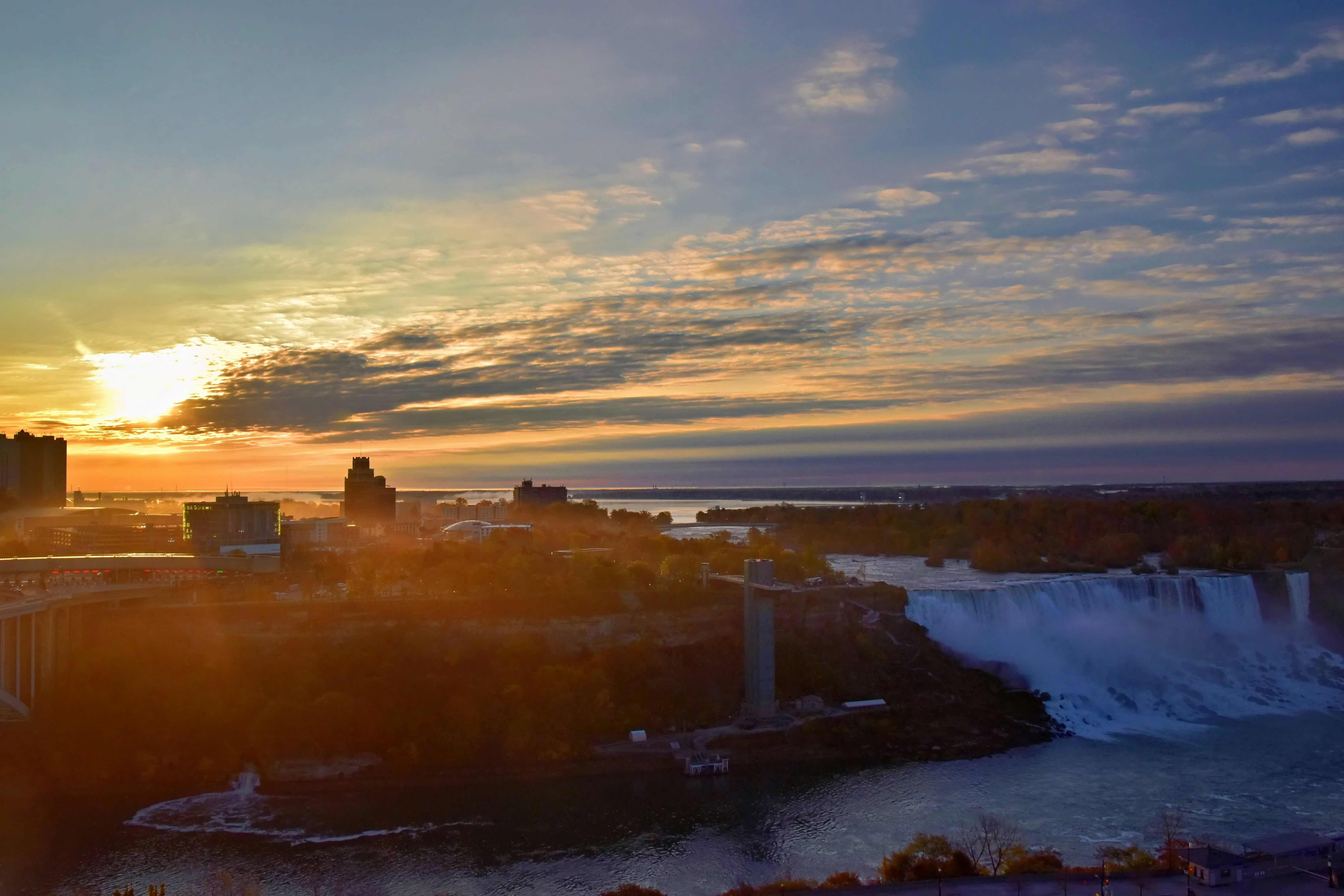 Photo by Jeffrey Eisen with Nikon D5600