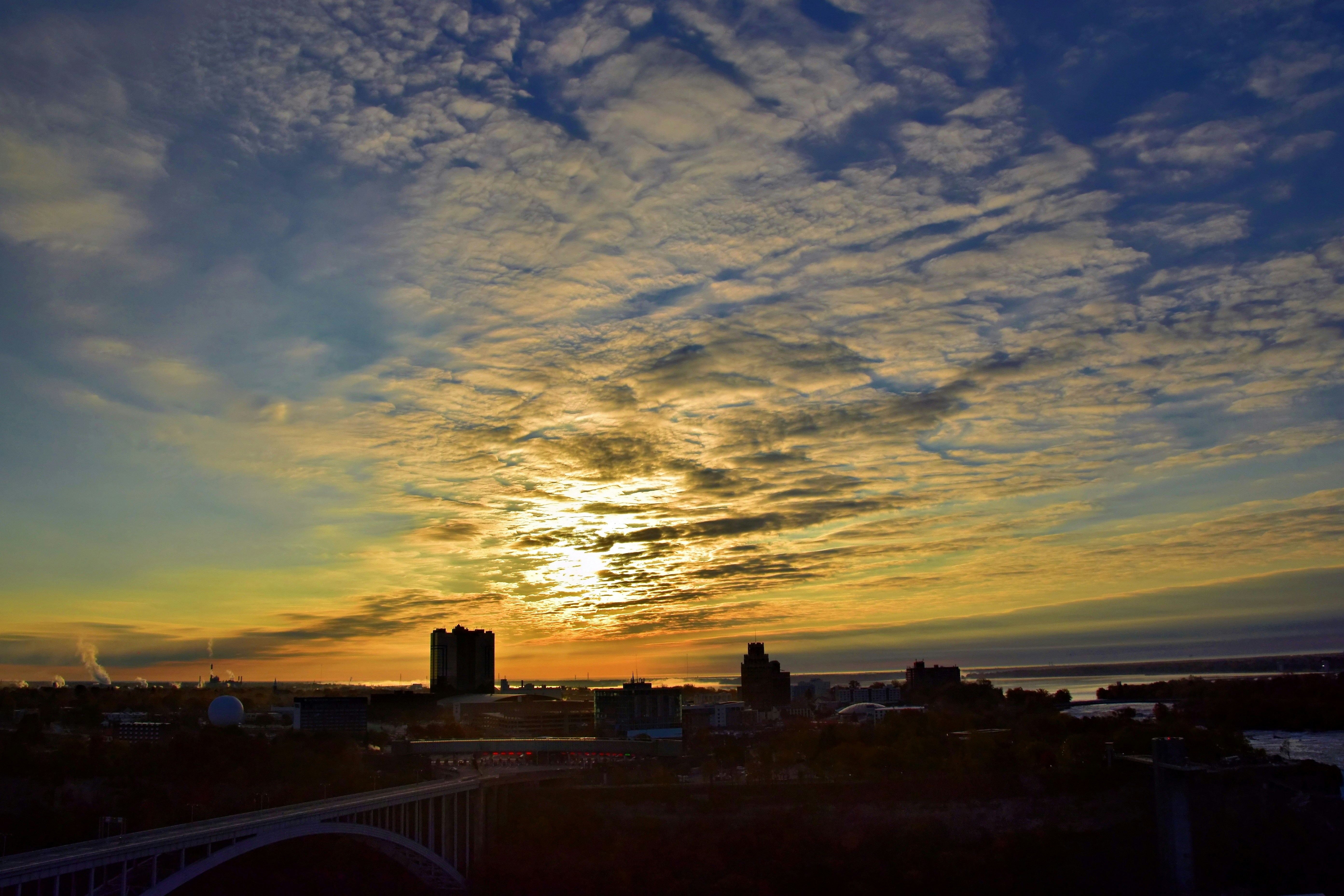 Photo by Jeffrey Eisen with Nikon D5600