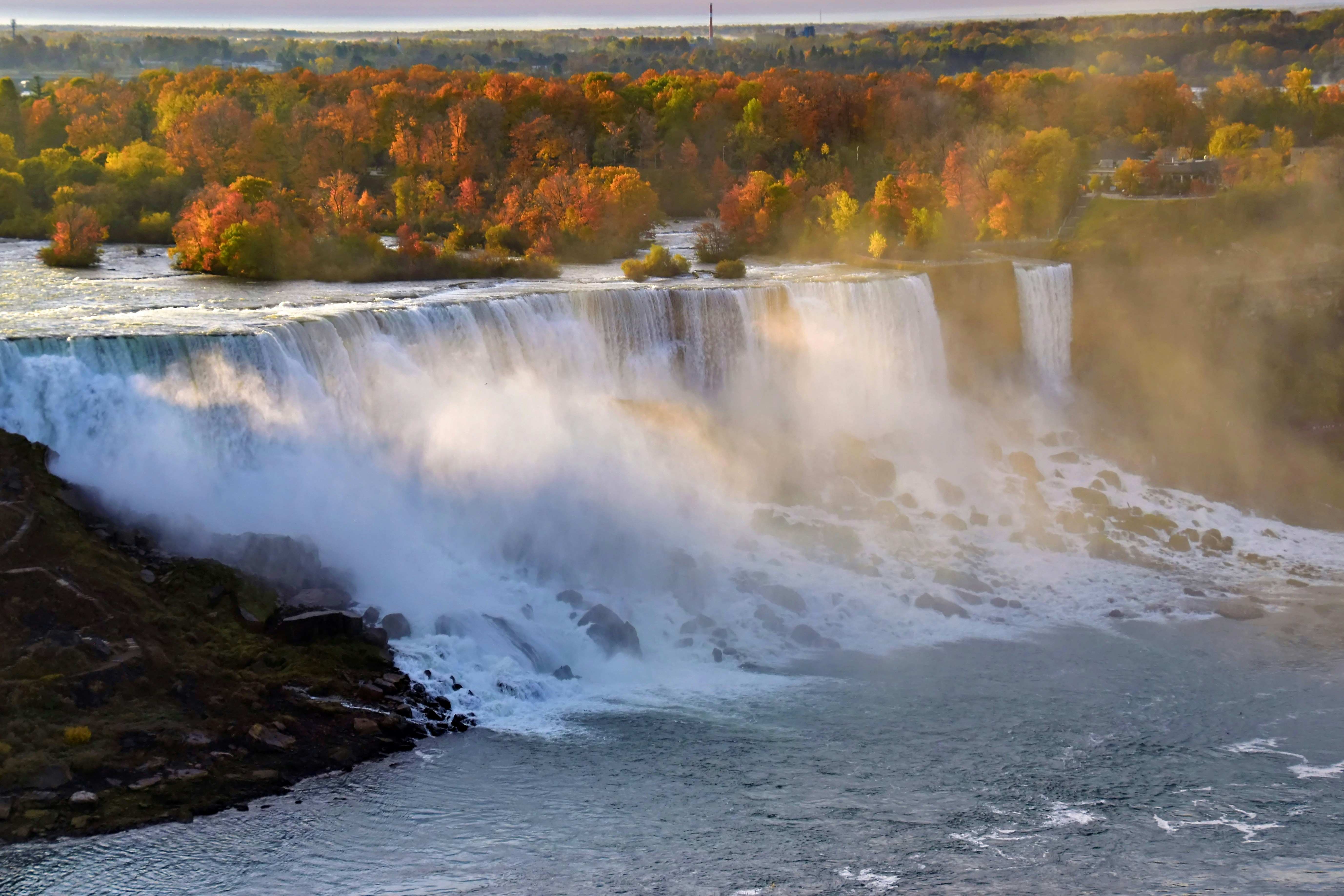 Photo by Jeffrey Eisen with Nikon D5600