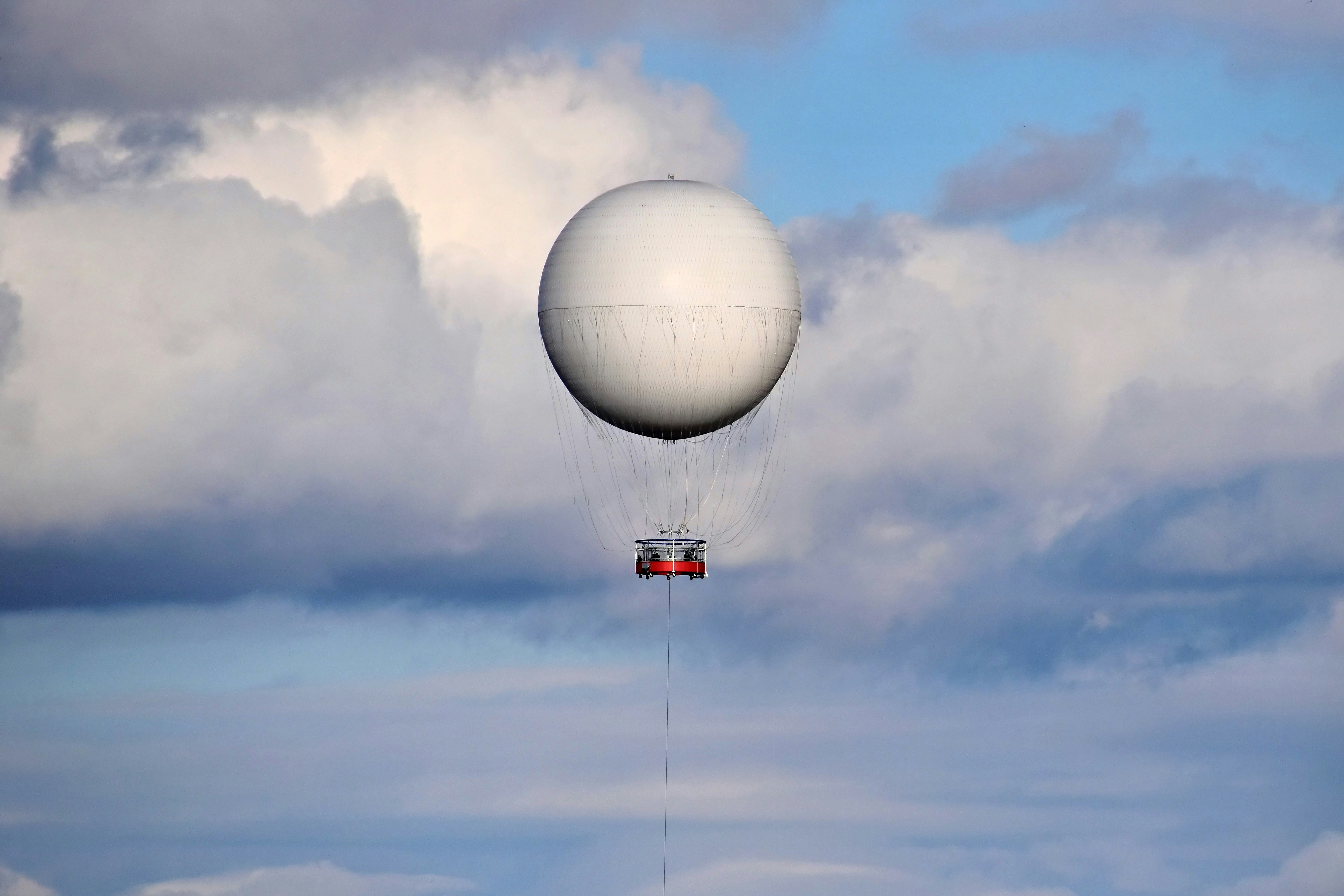 Photo by Jeffrey Eisen with Nikon D5600