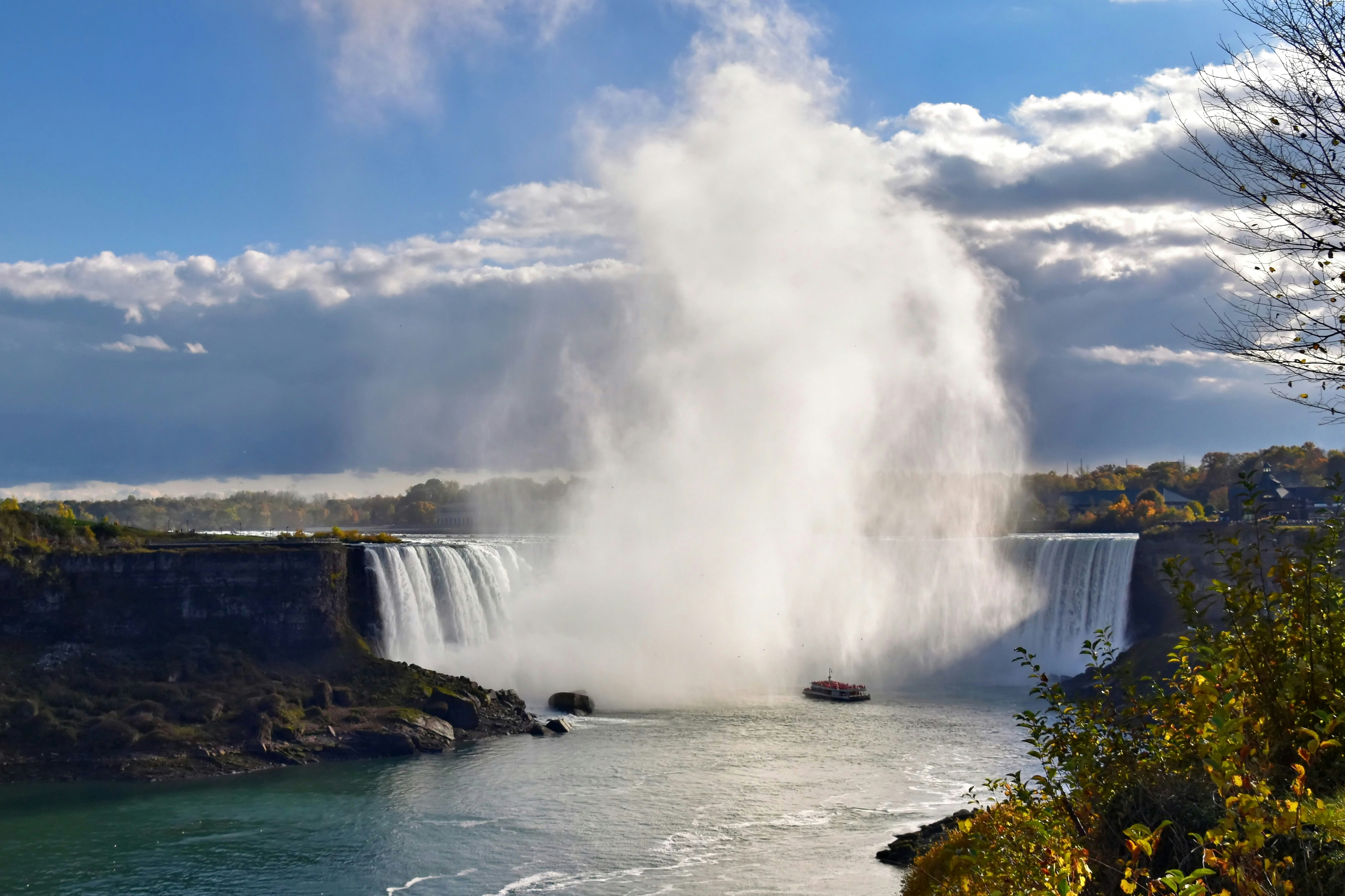 Photo by Jeffrey Eisen with Nikon D5600