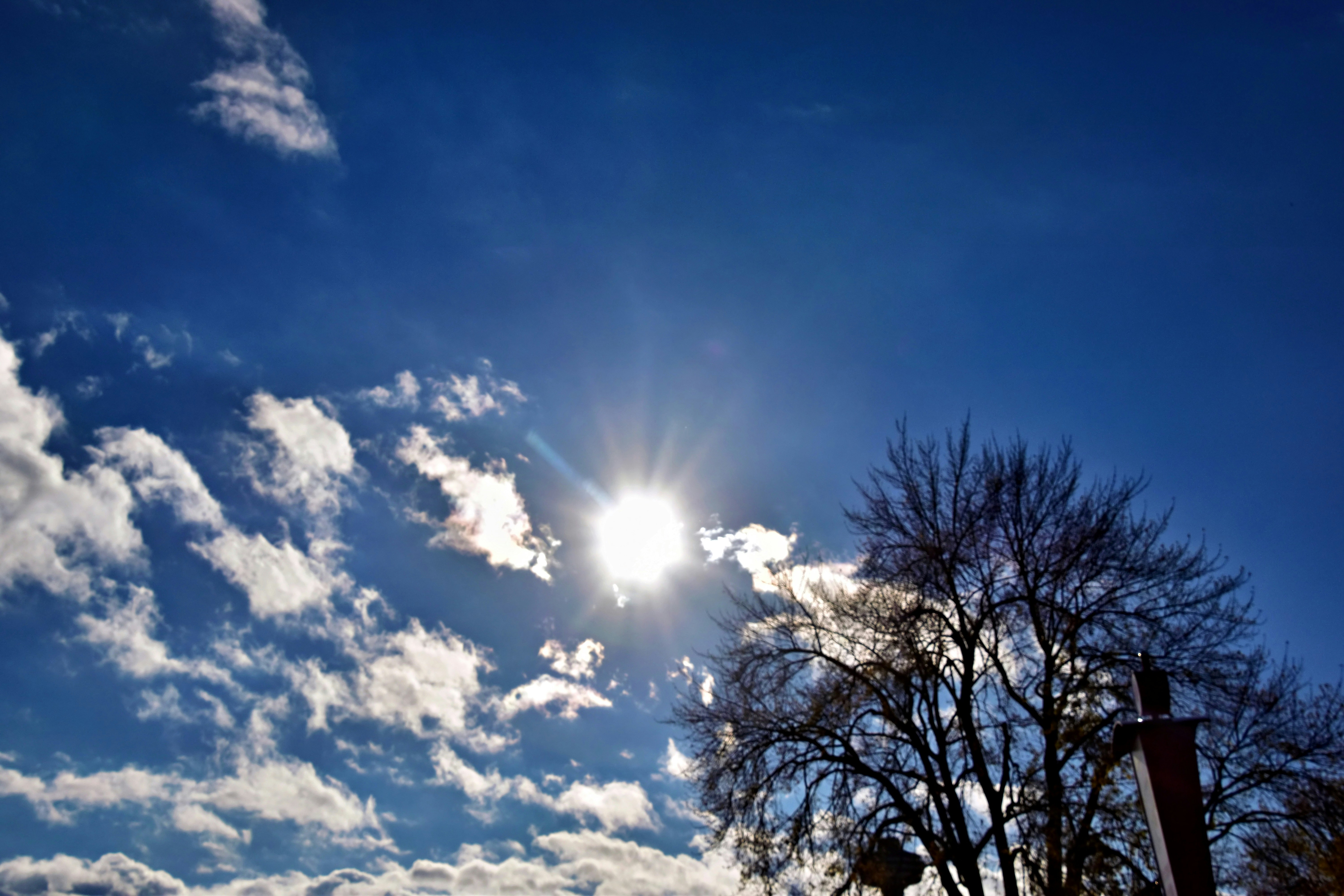 Photo by Jeffrey Eisen with Nikon D5600