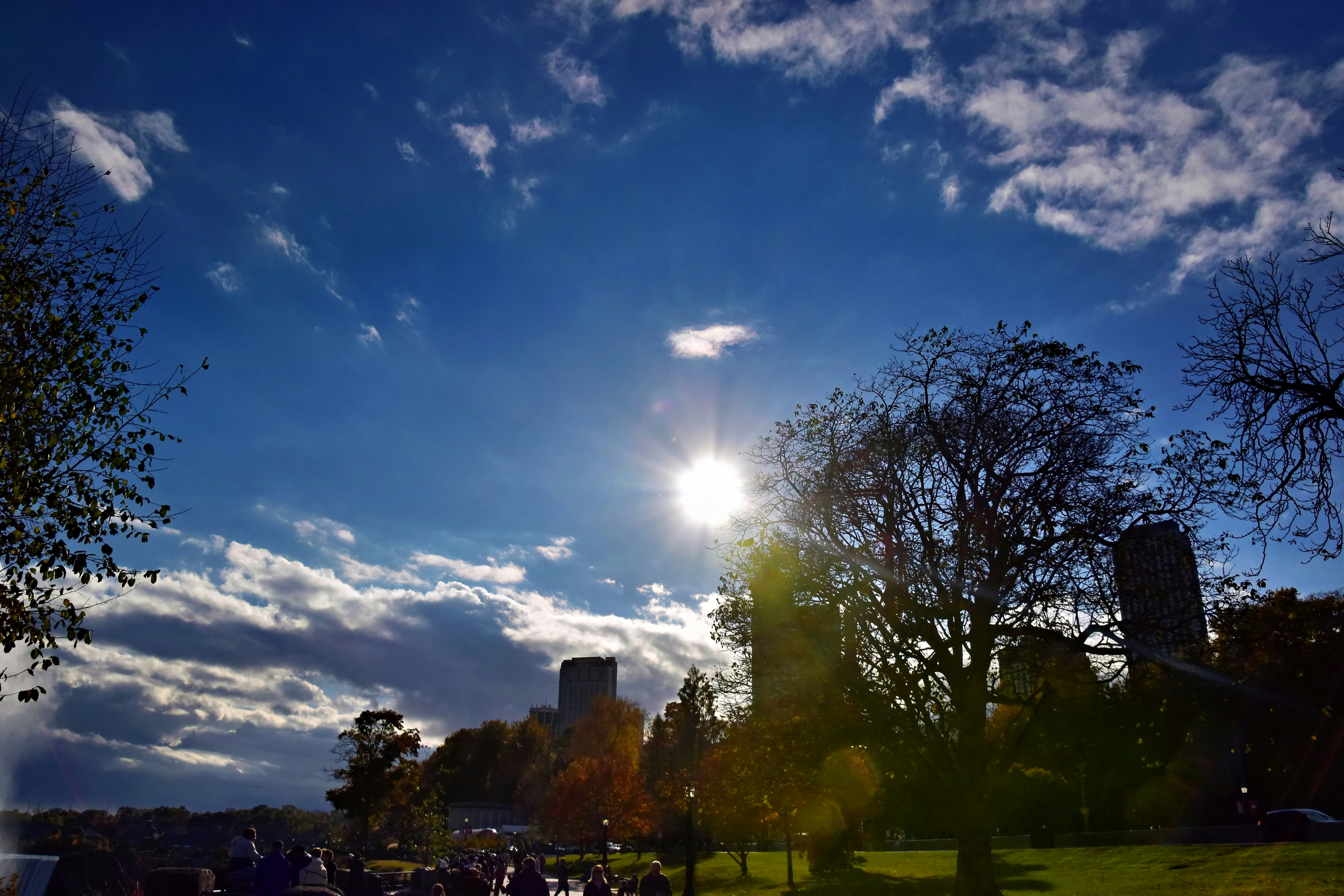 Sunburst Over a Historic Skyline Framed by a Park
