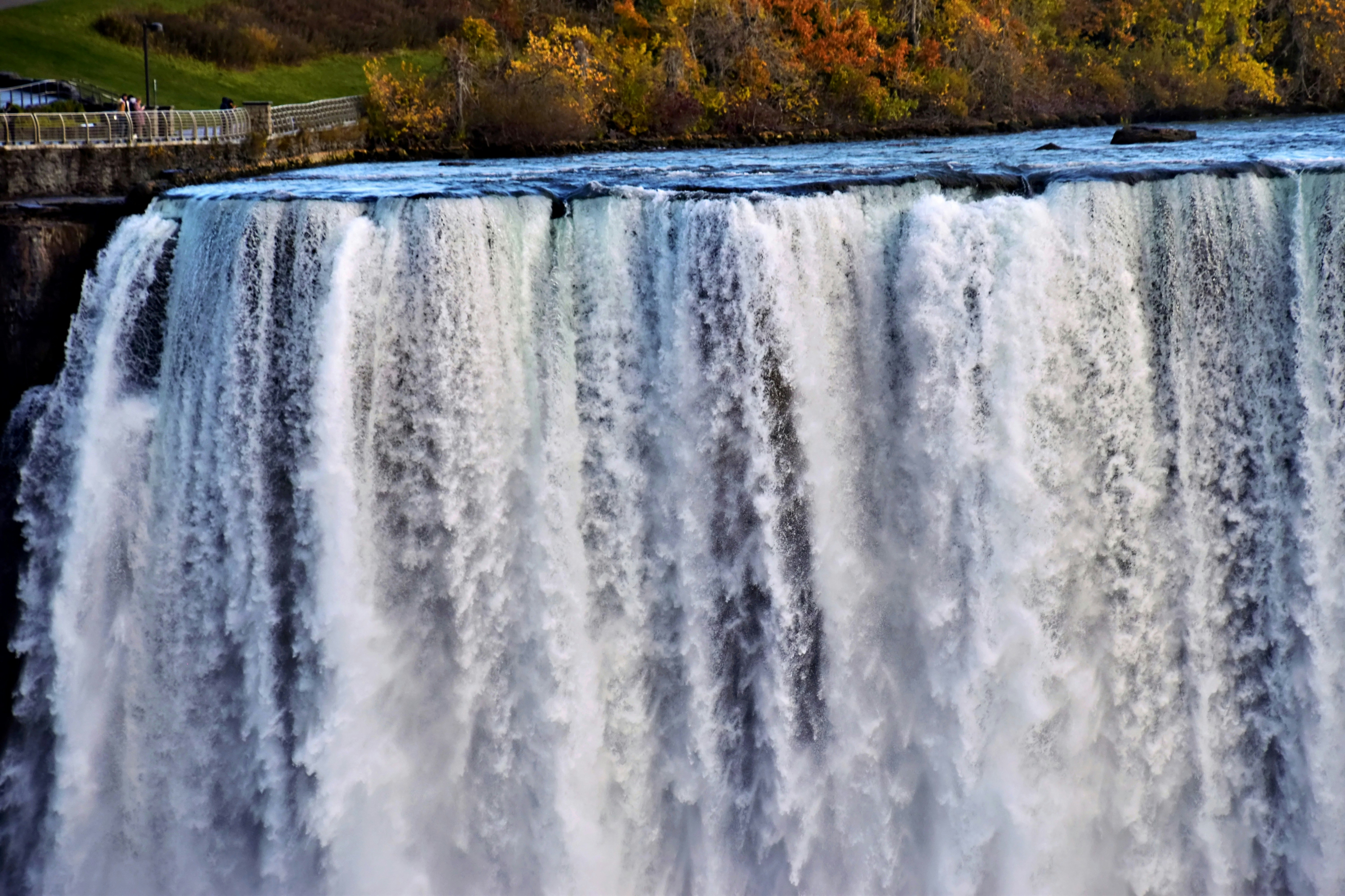 Photo by Jeffrey Eisen with Nikon D5600