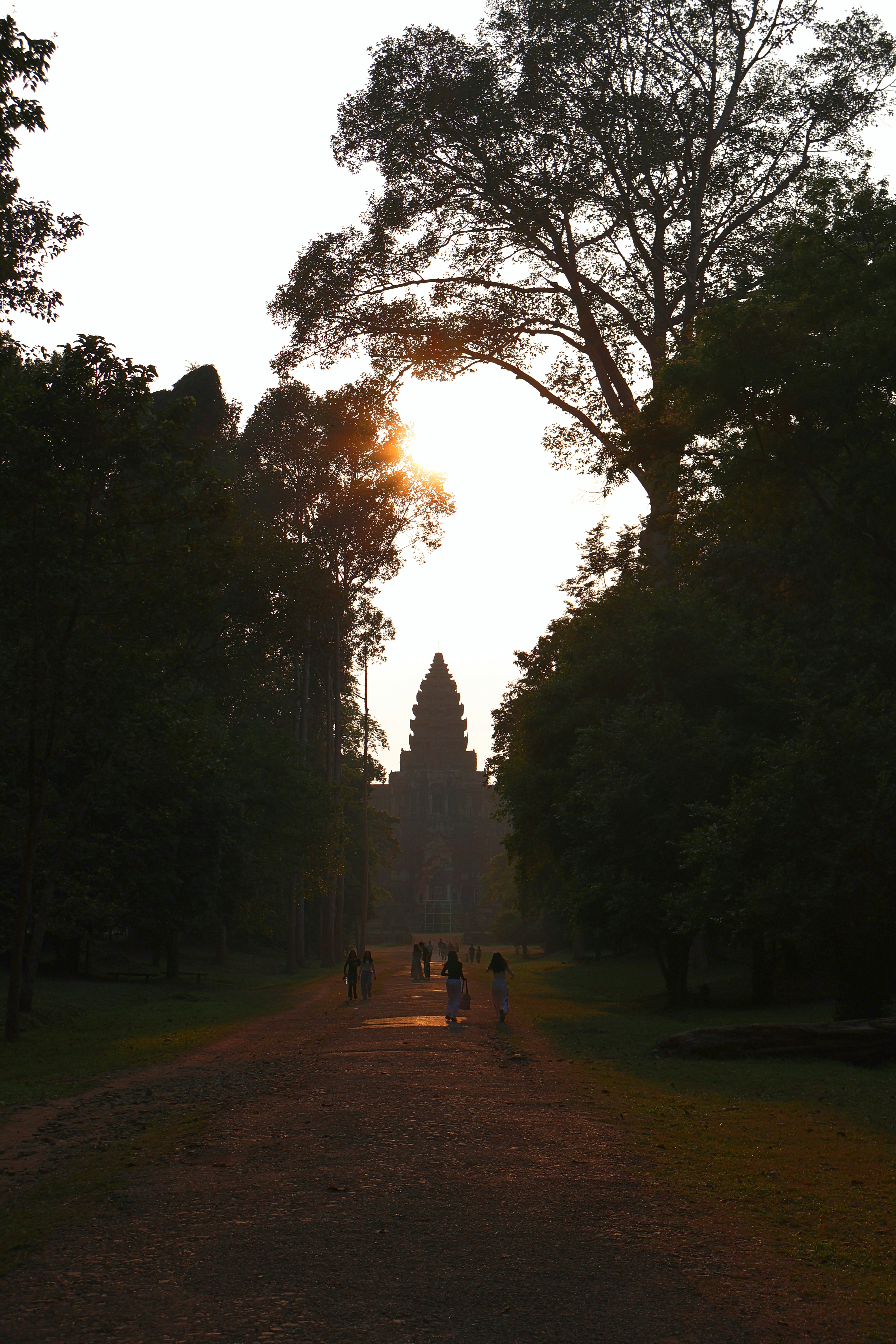 Dawn Path to a Silhouetted Temple Framed by Ancient Trees