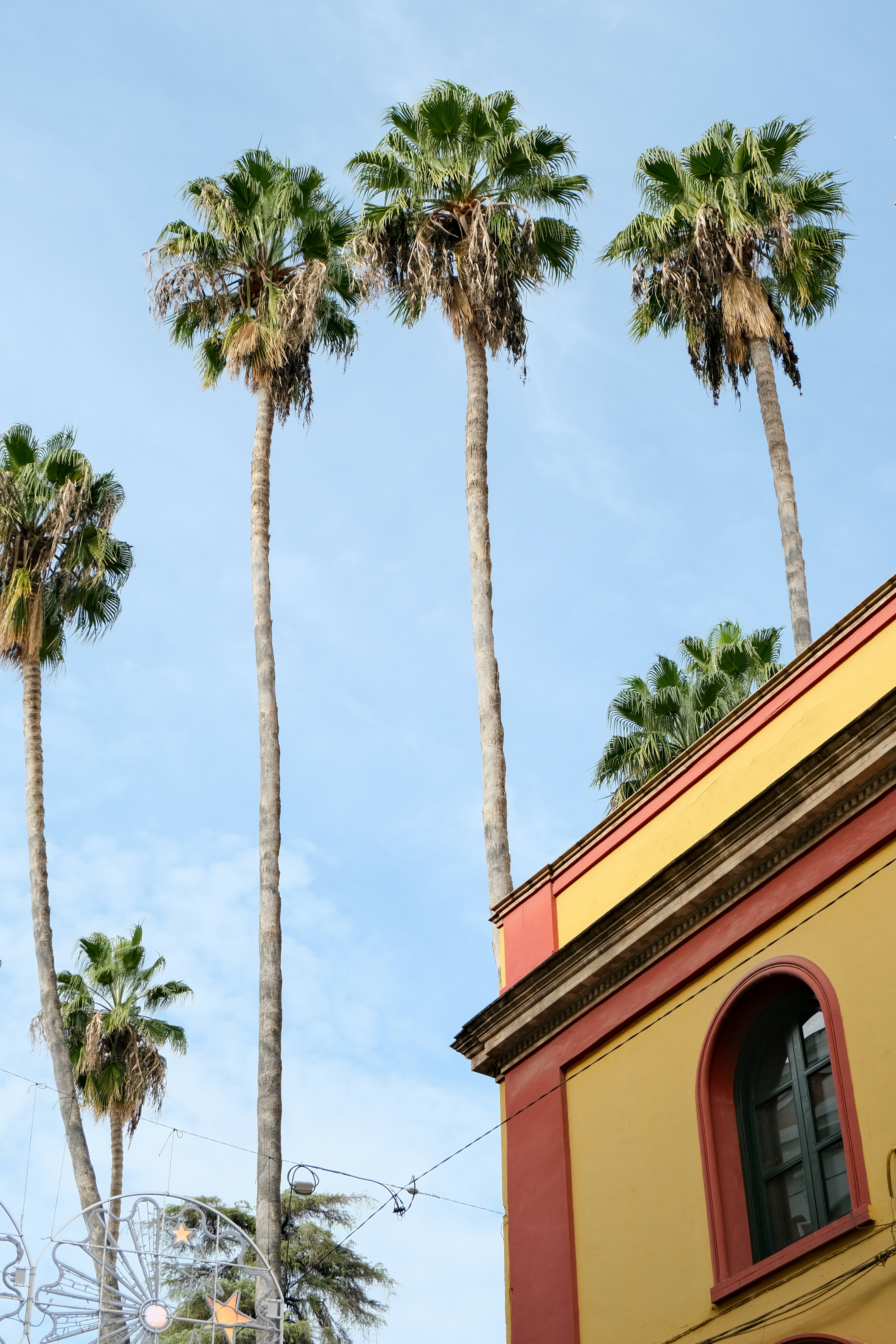 Photo by Yana Ralko with Fujifilm X-T30 II