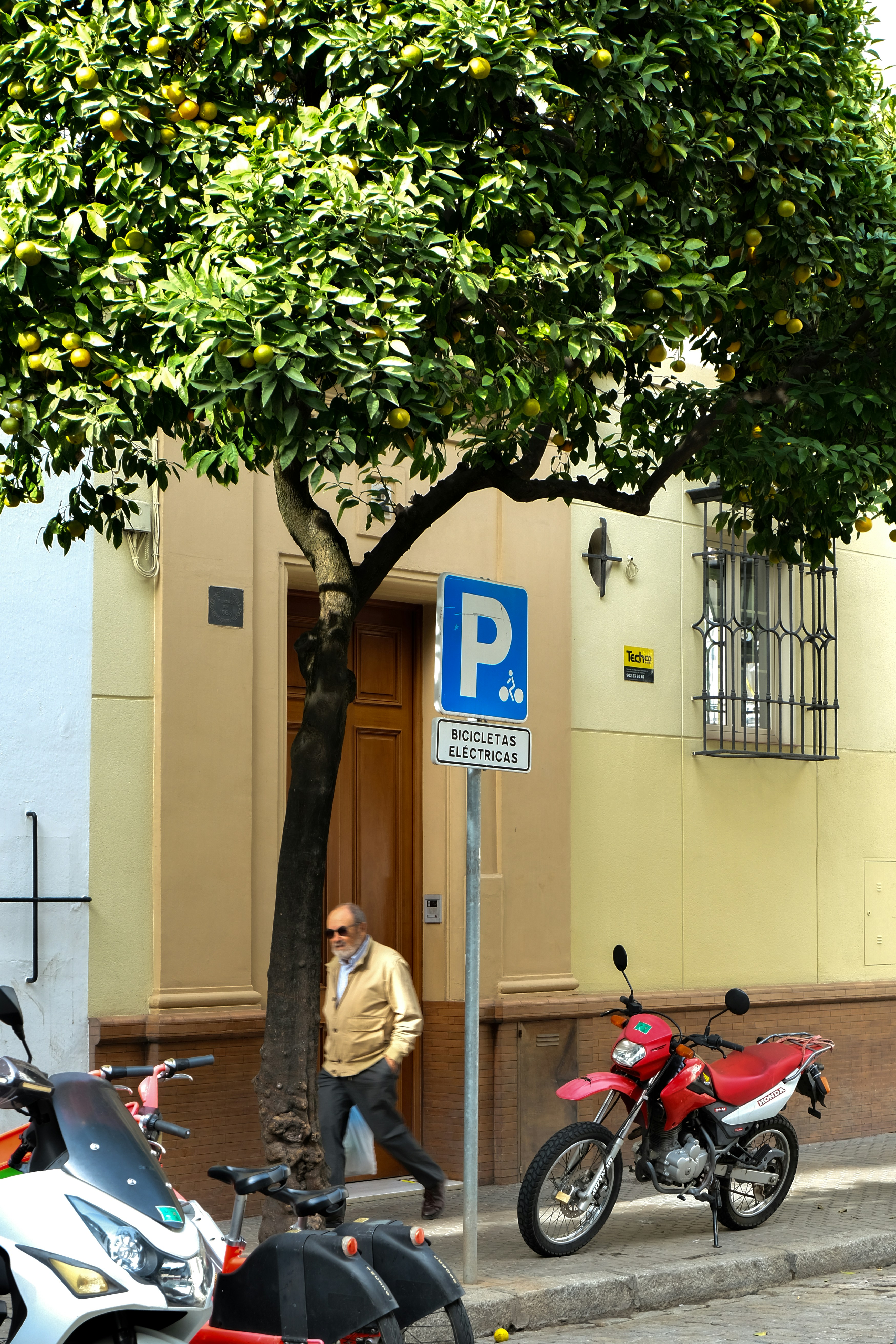 Photo by Yana Ralko with Fujifilm X-T30 II