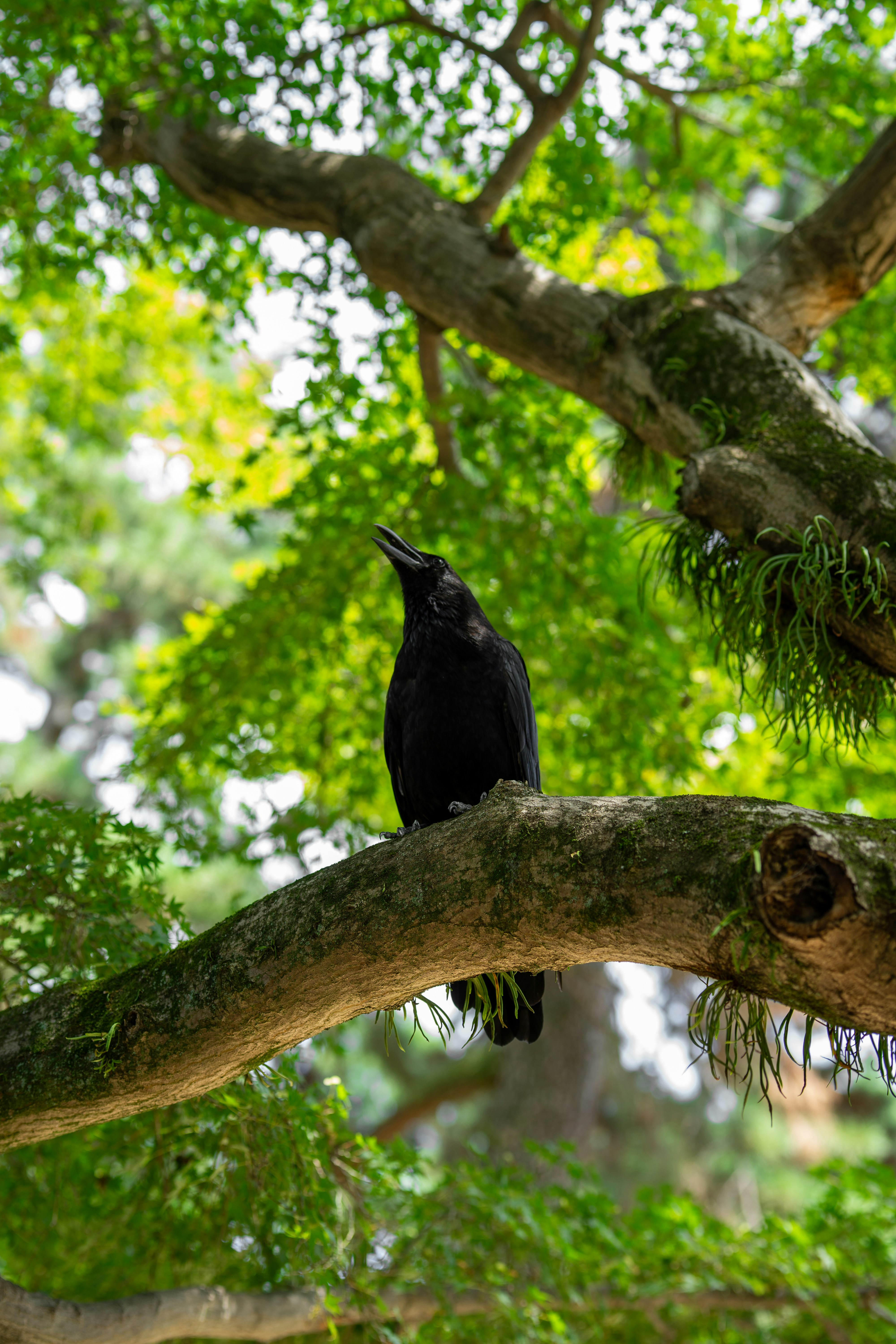 Bart Wellens (@artwell) | Komunitas Foto Unsplash