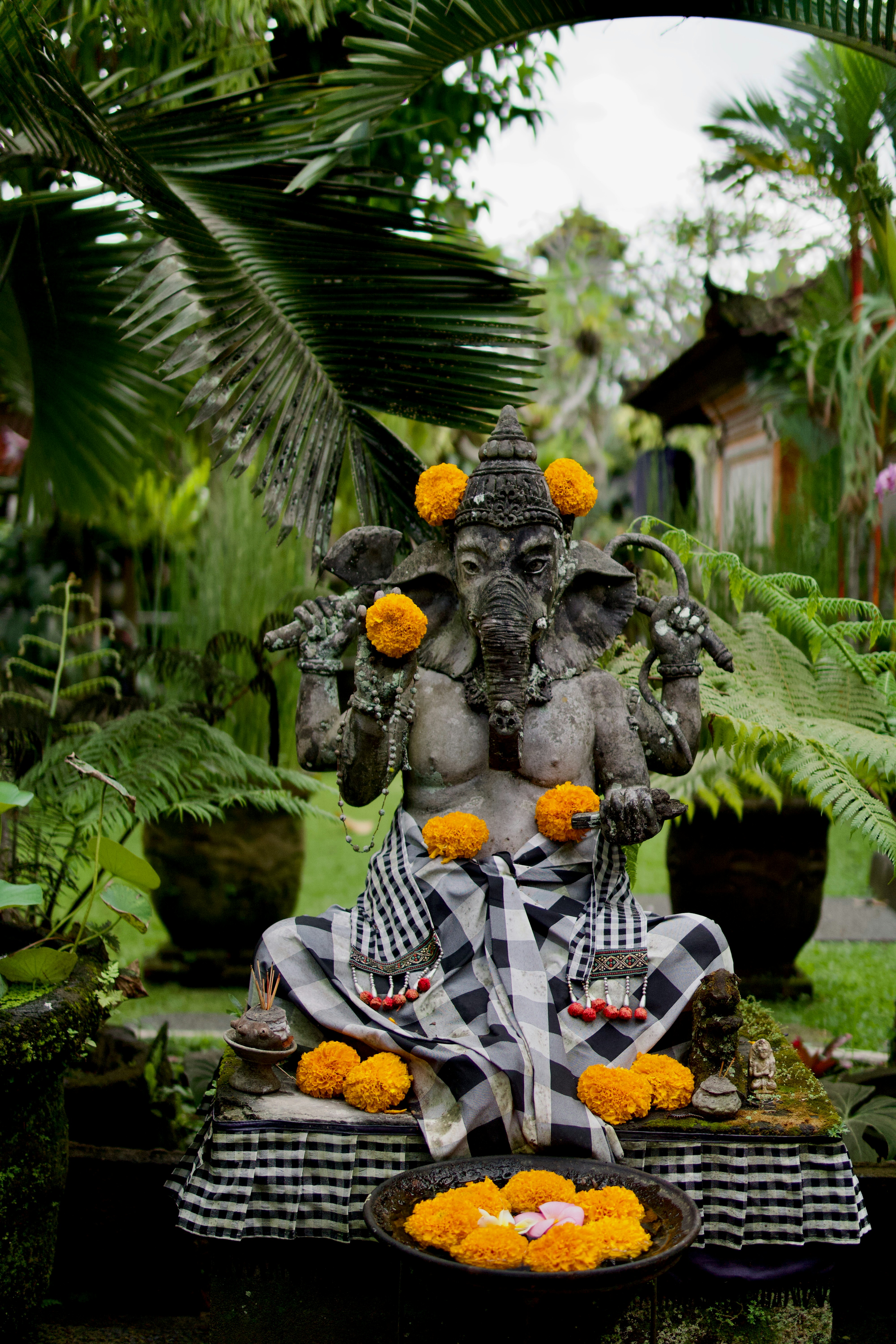 Ganesha in the Green Sanctuary: Marigold-Adorned Stone Idol