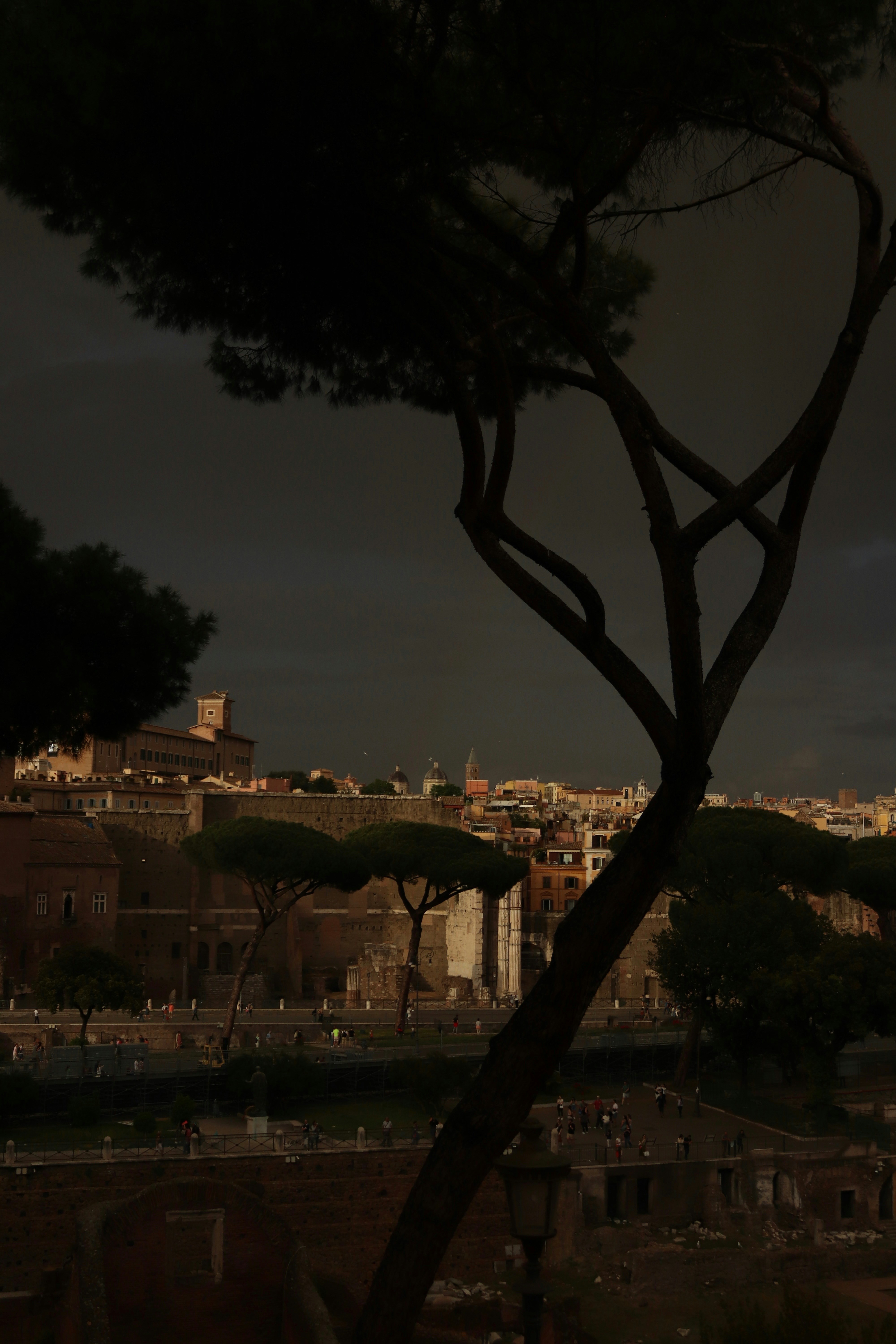 Dusk Over an Ancient City: Tree-Framed Skyline Along the River