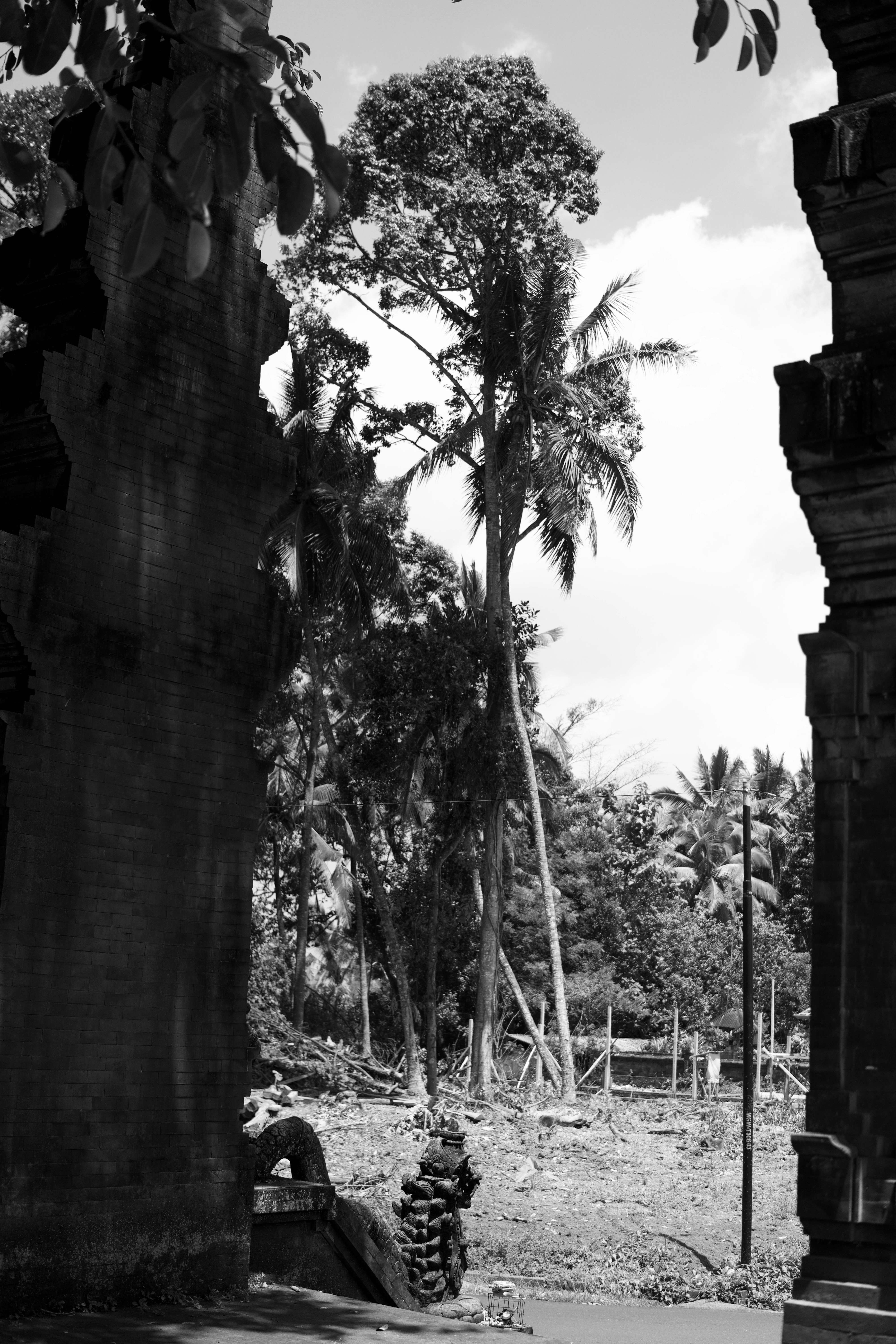 Photo by Vagamood Sundaze with Sony Alpha 6000