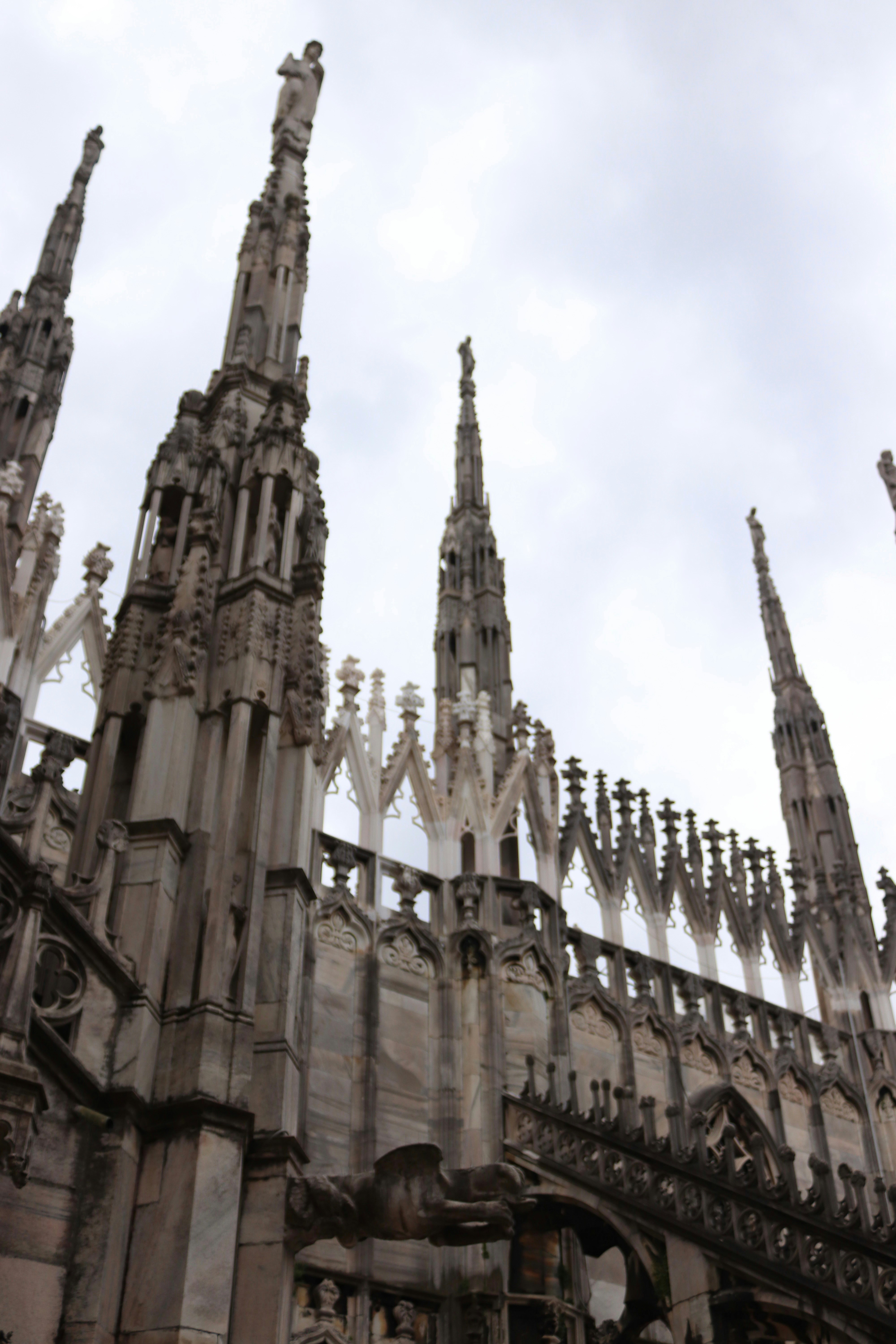 Photo by Viktoriia Ananeva with Canon EOS 200D