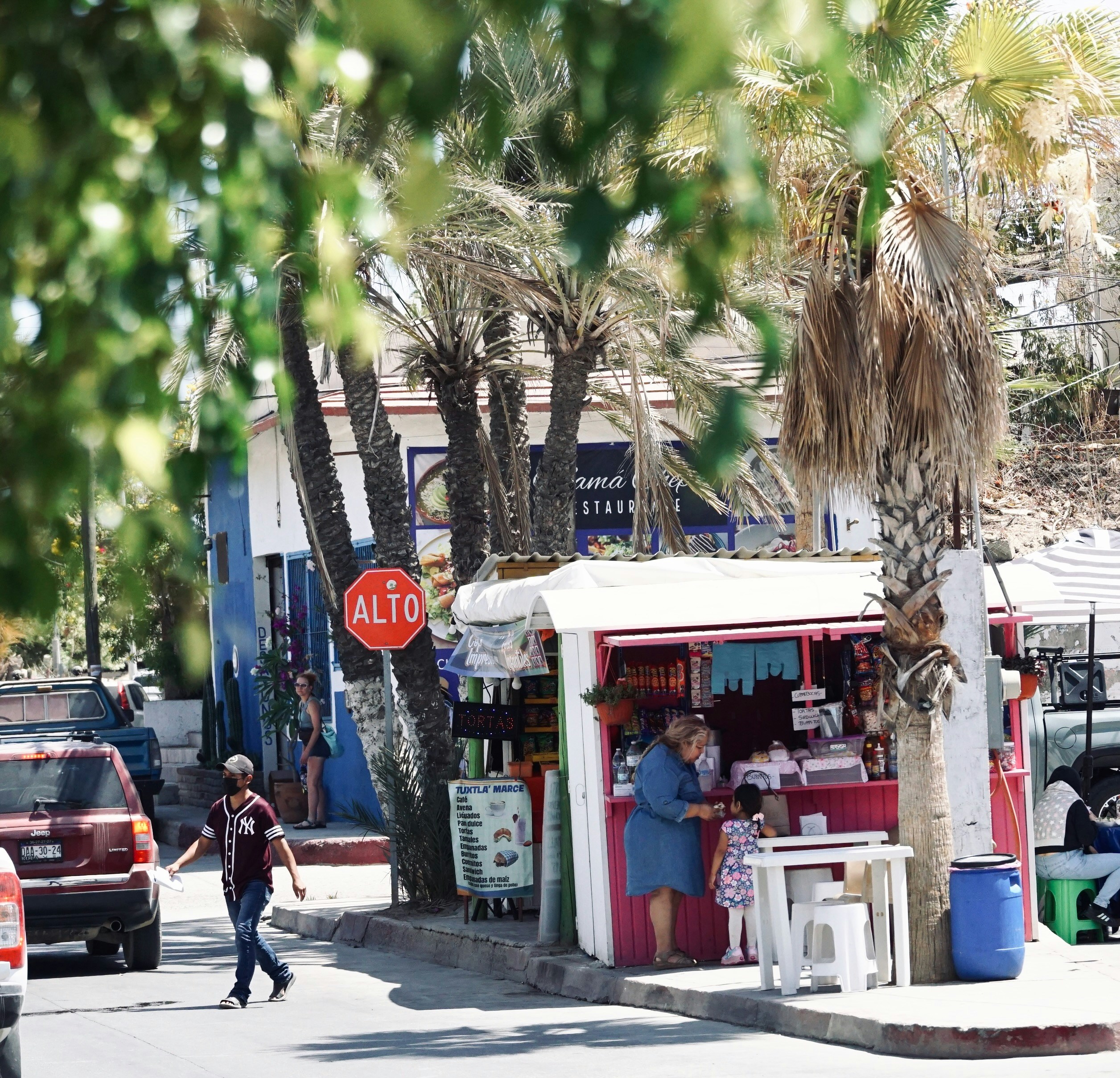 Palm-Shaded Street Corner: A Pink Kiosk Under the Sun