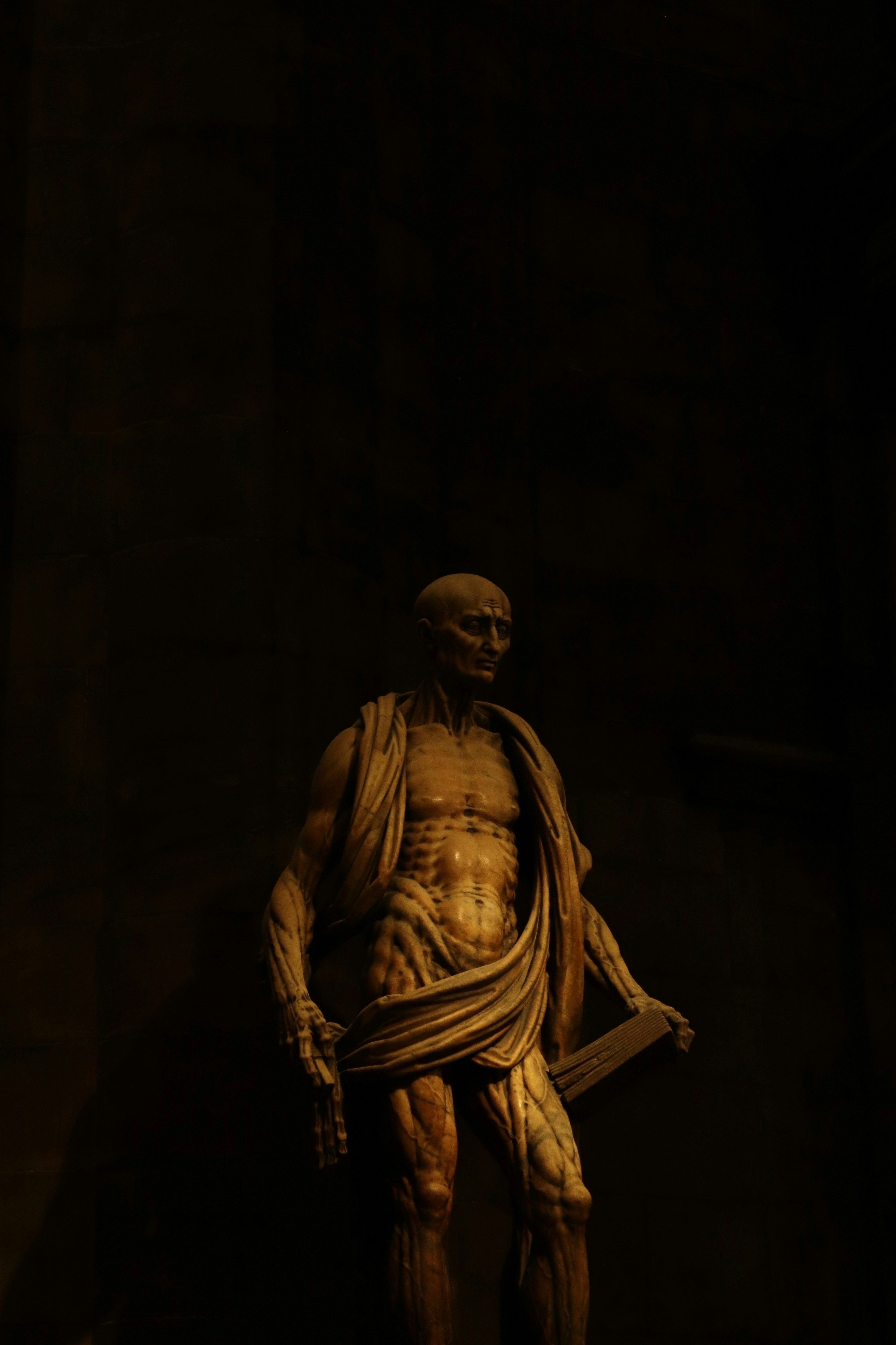 An anatomical sculpture of a emaciated man photo – Free Museum Image on ...
