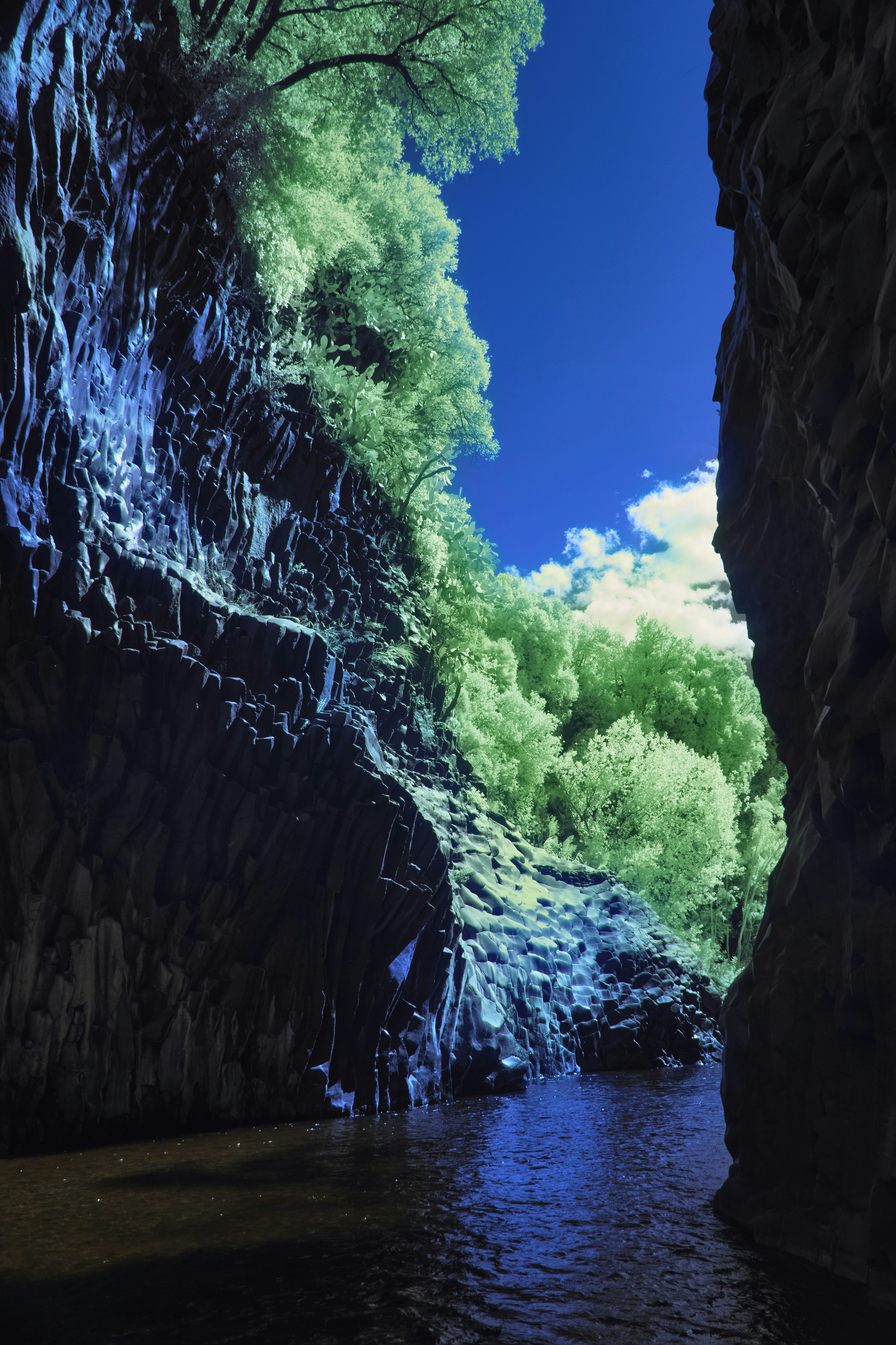 Photo by Wolfgang Hasselmann with Sony Alpha 7 IV